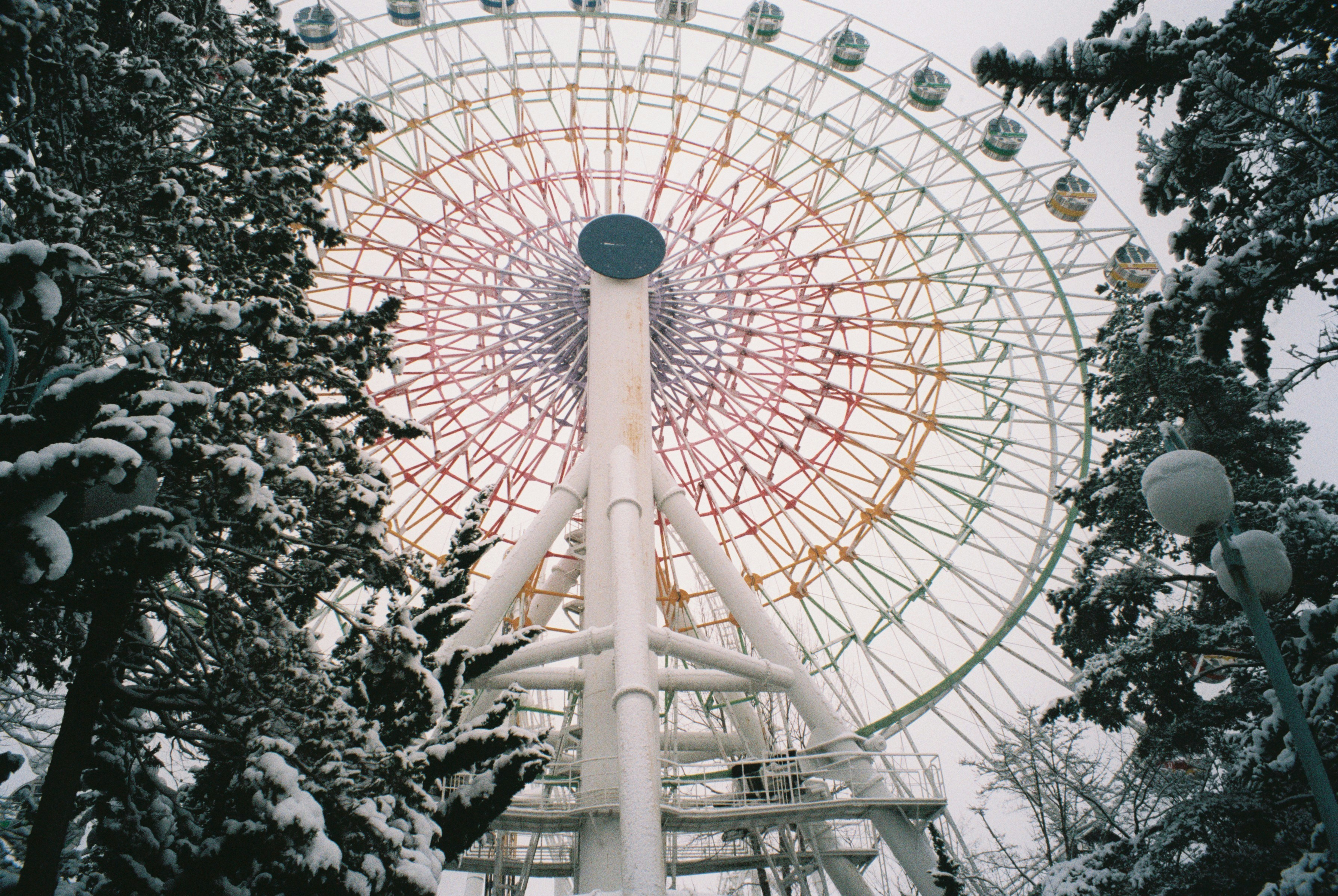 A ferris wheel surrounded by snow covered trees photo – Free Film ...