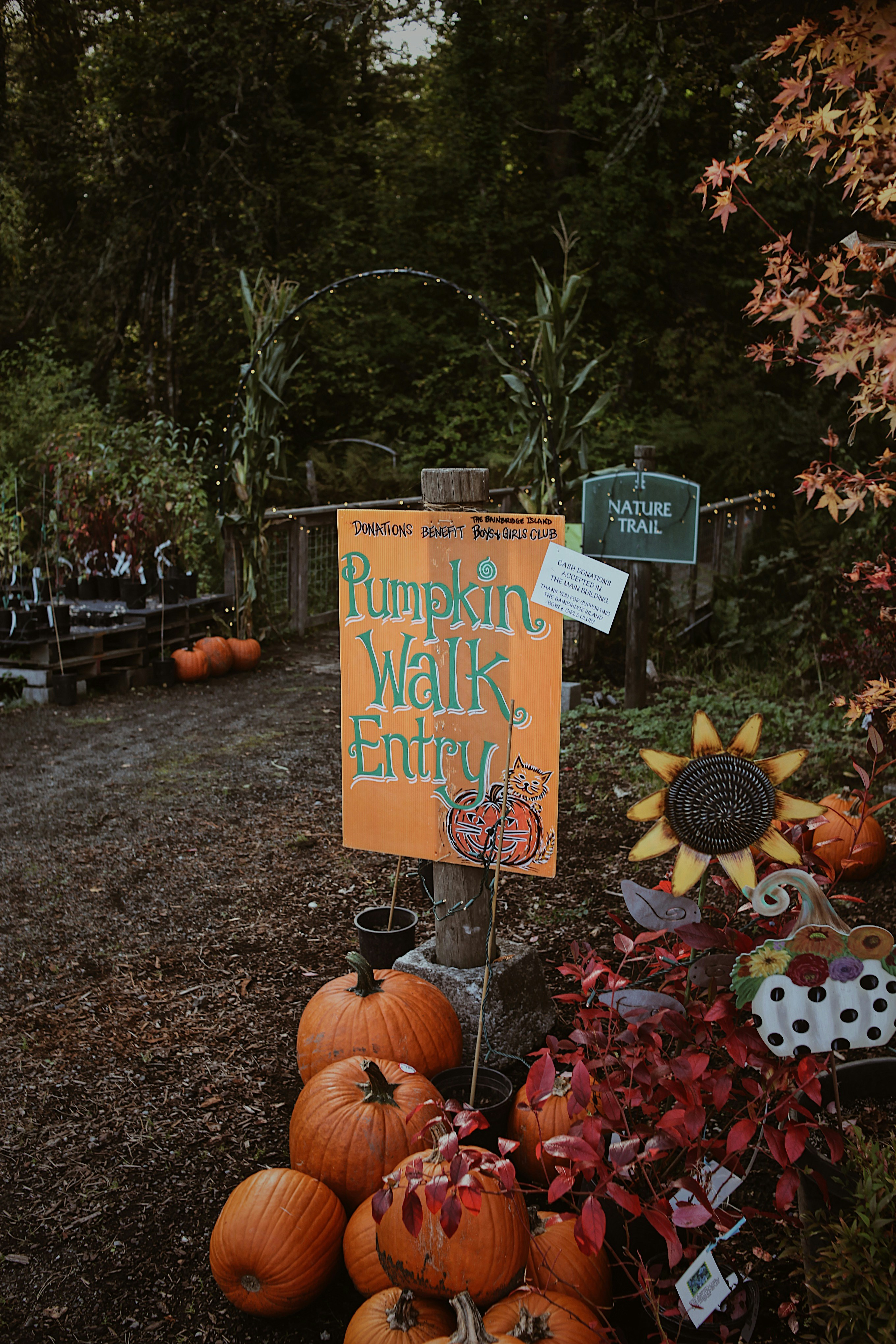 Pumpkin Walk Entry: Autumn Festival Gate and Garden Decor