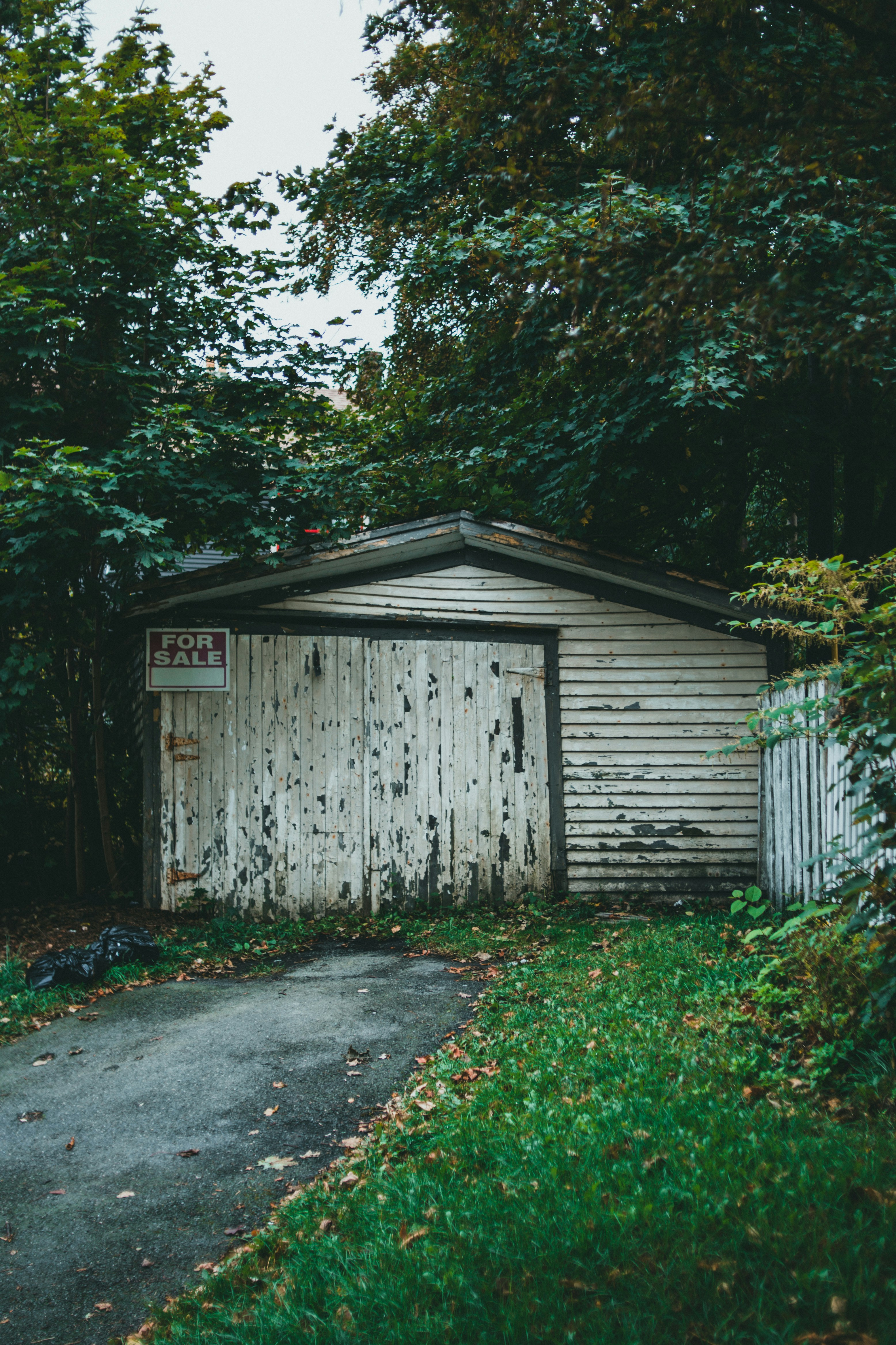 A run down shed sitting in the middle of a forest photo – Free Grey ...
