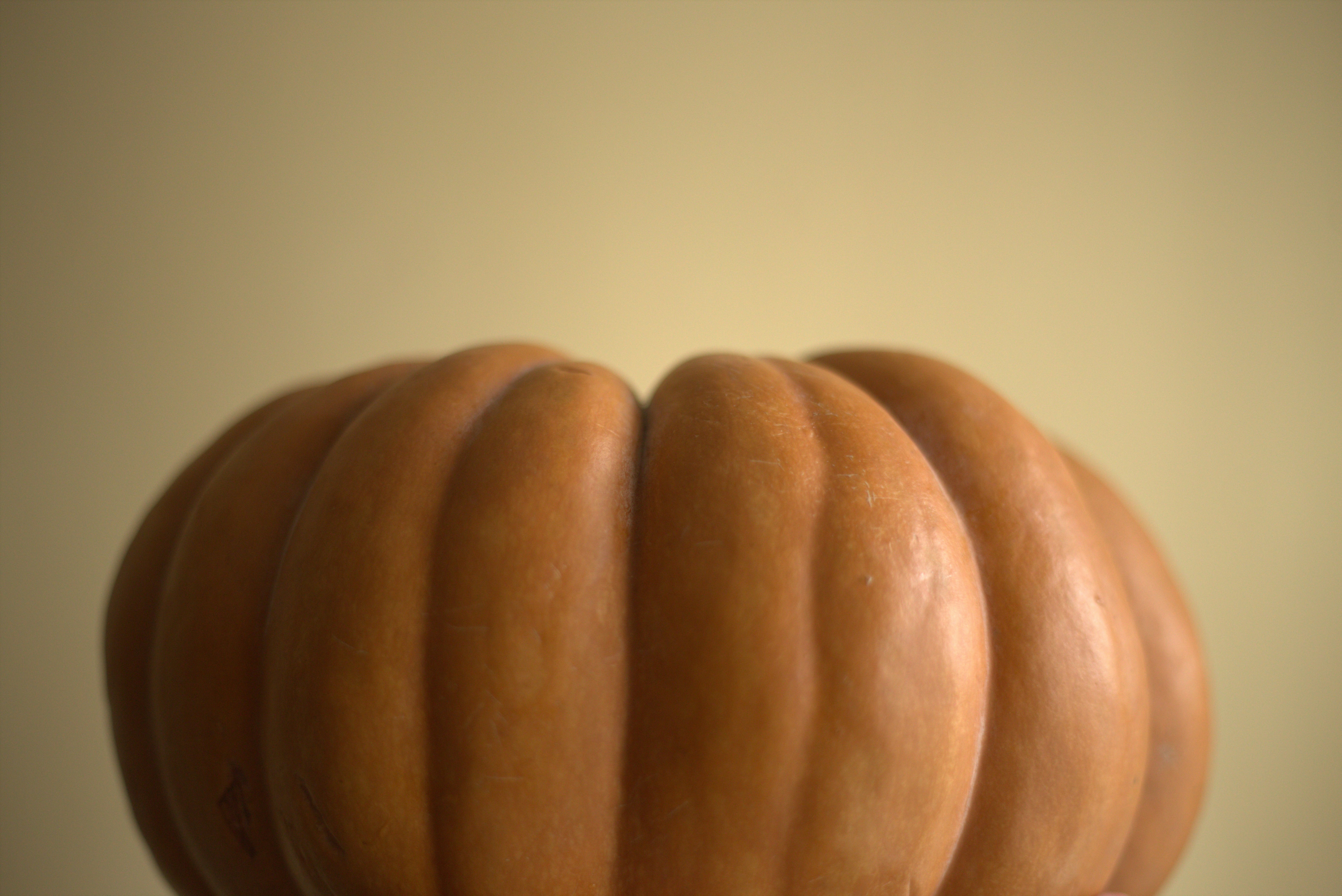 Ridge-Sealed Dawn: A Macro Portrait of a Pumpkin