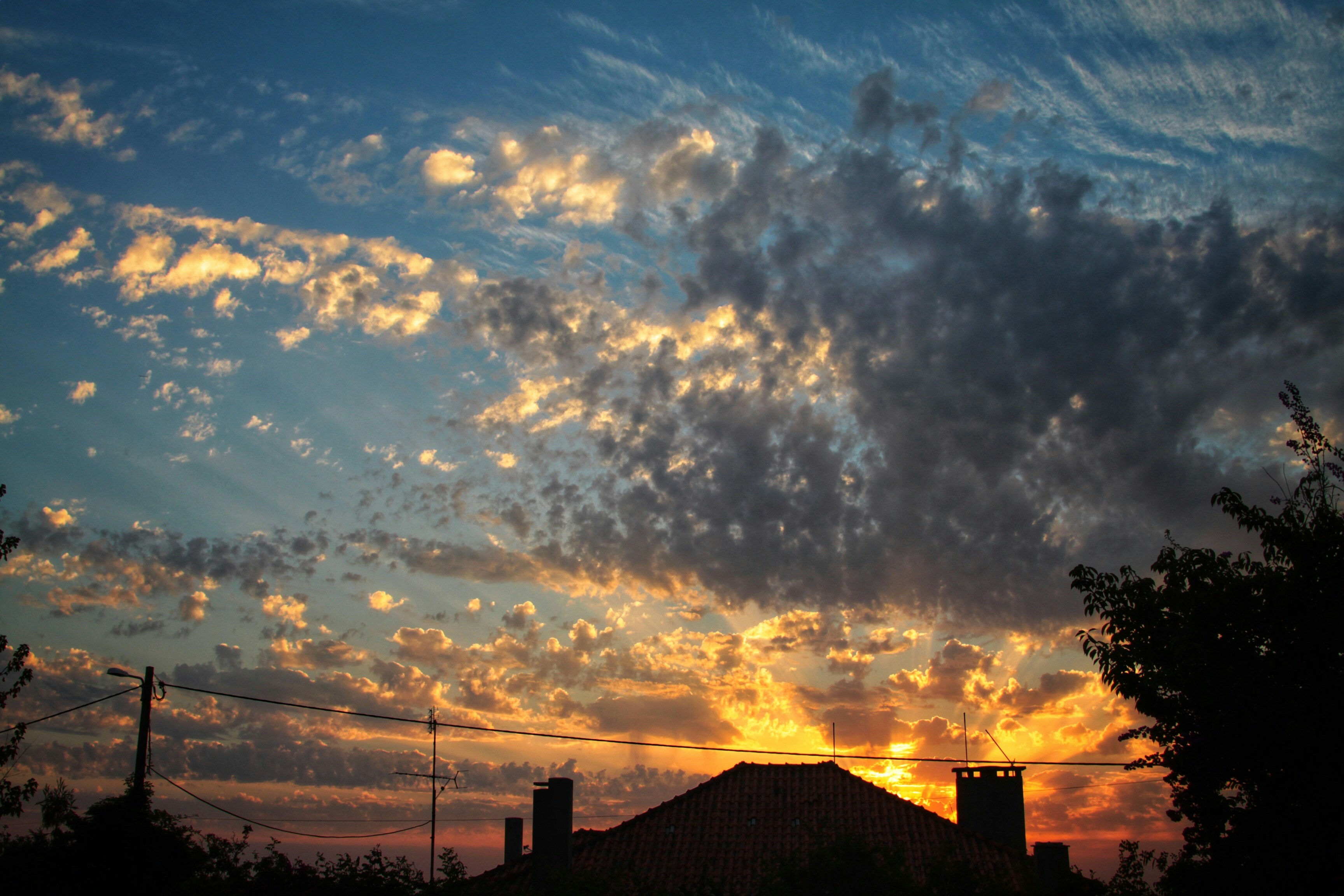 Horizon in Fire: Suburban Silhouettes Against a Sunlit Sky