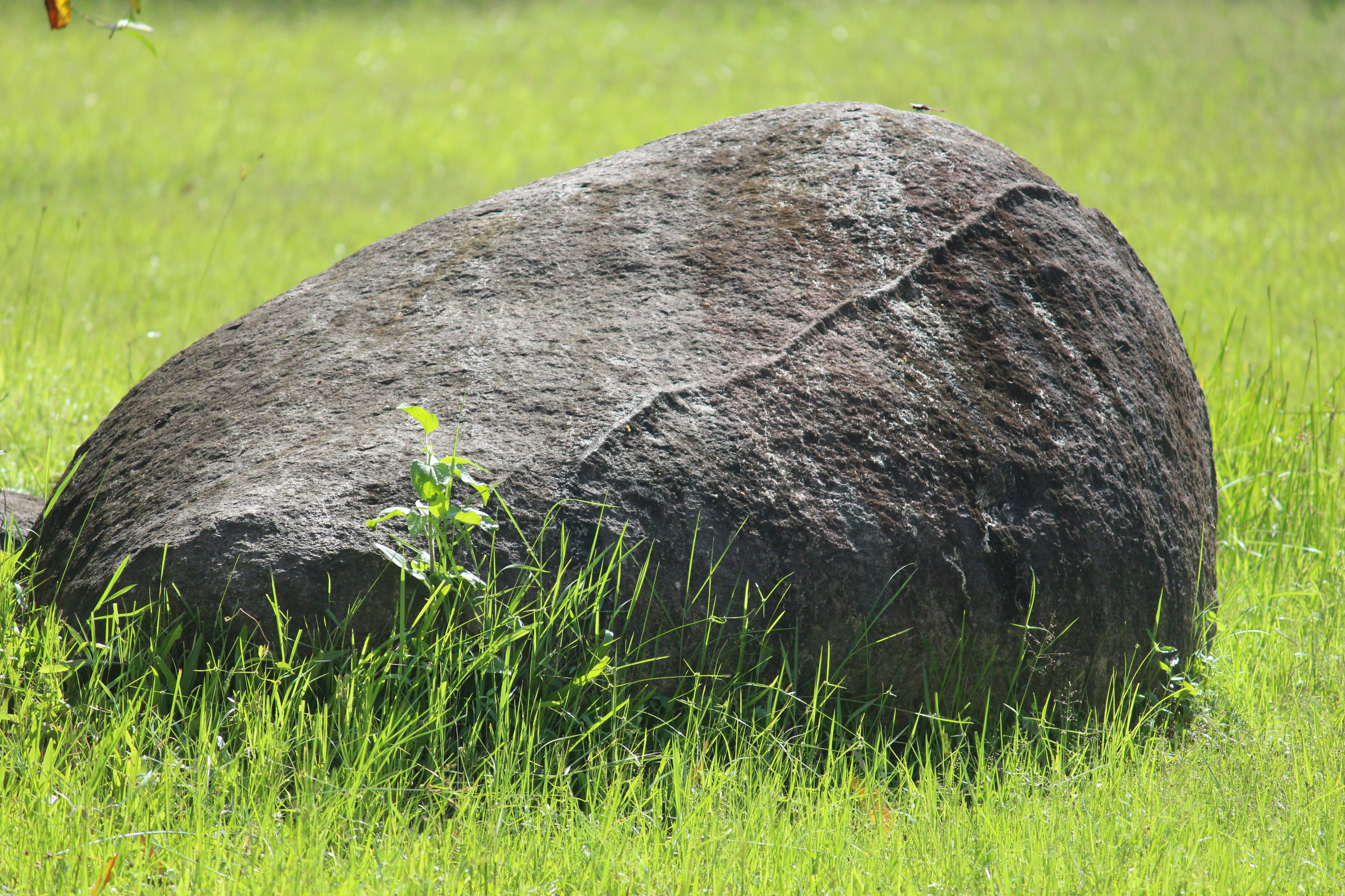 Granite Sentinel in a Sunlit Meadow