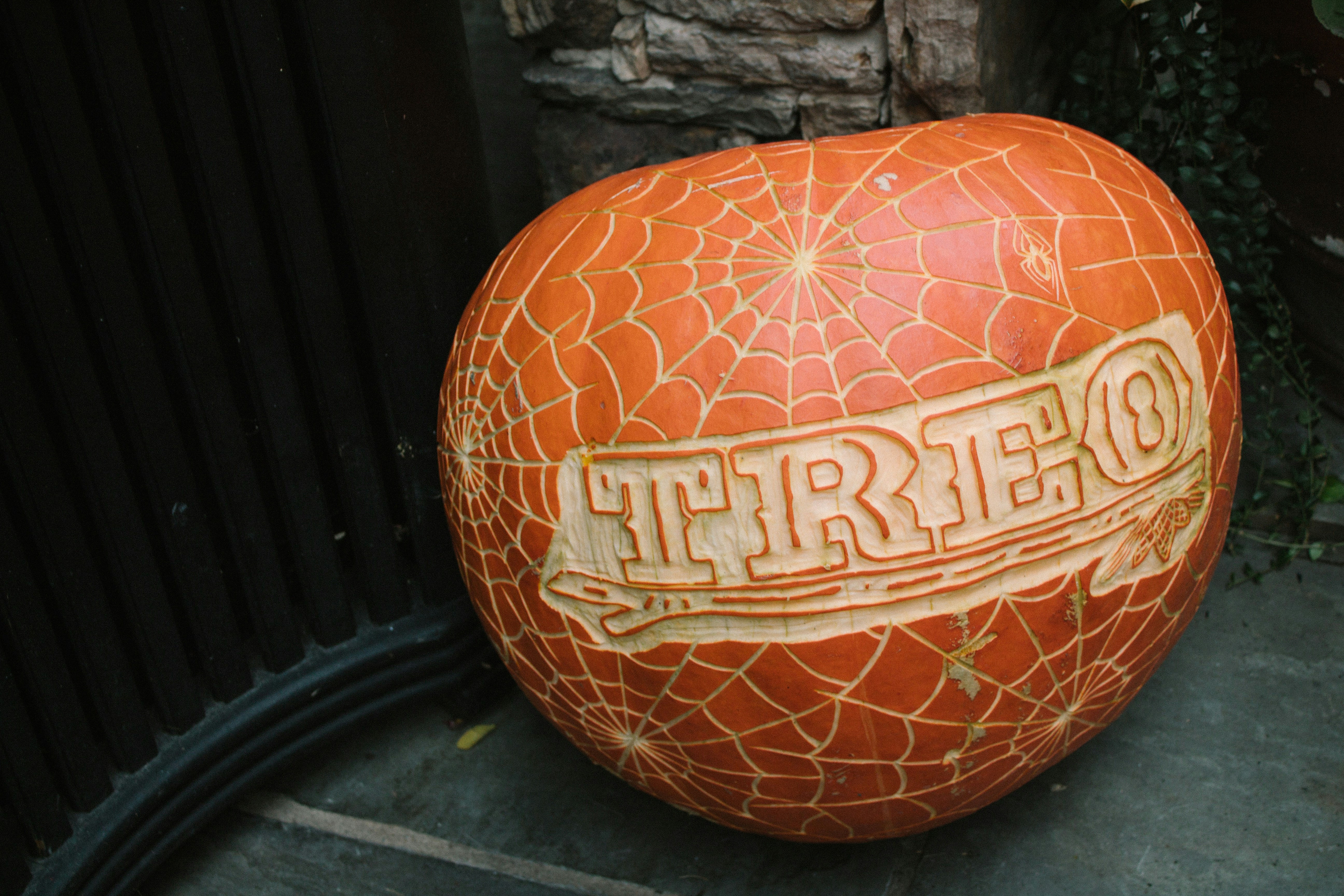 Carved pumpkin featuring a web design and the word 'TREO' prominently displayed. The intricate details showcase the artistry of seasonal decorations.