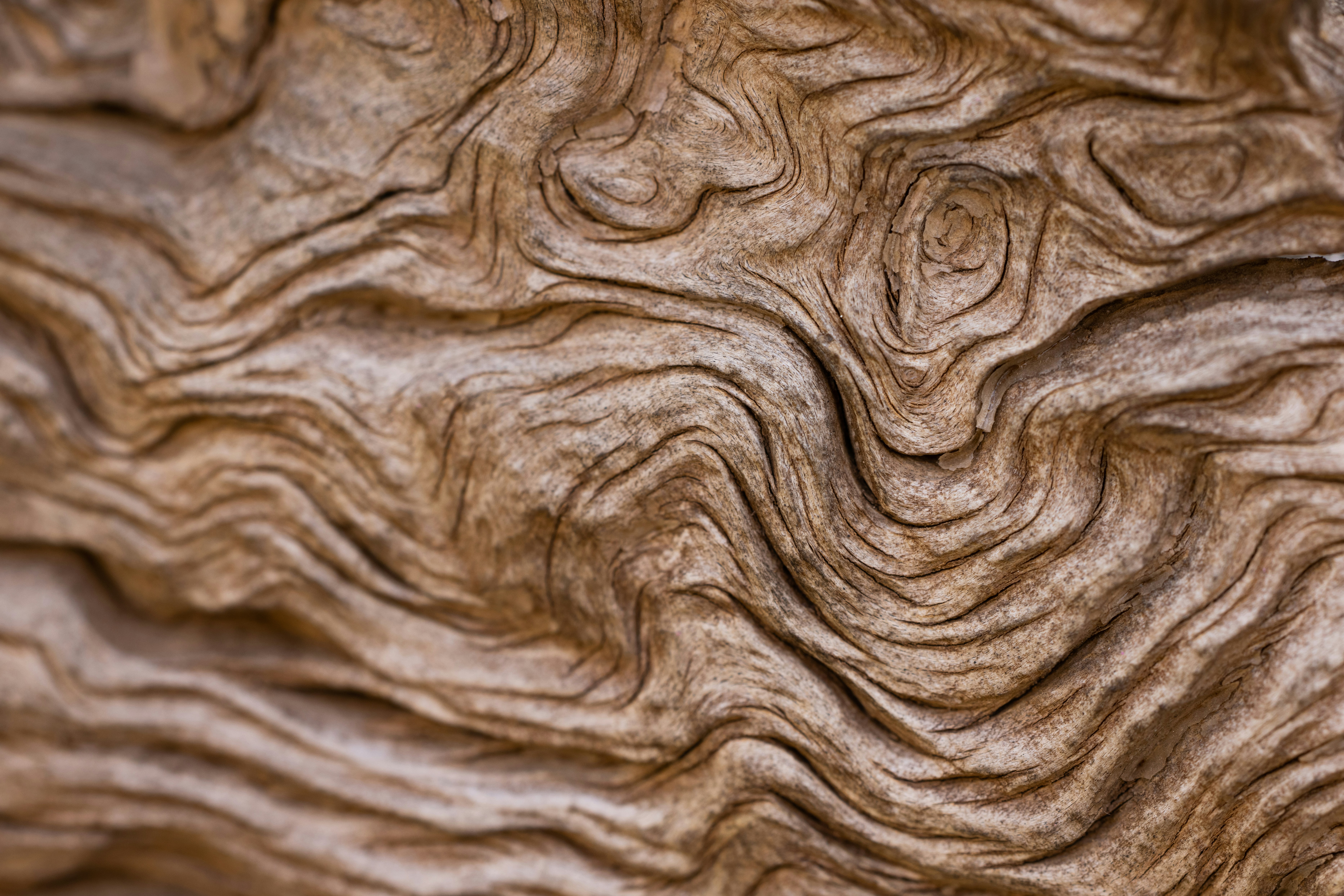 Close-up of beautifully textured wood grain showcasing natural patterns and swirls. The intricate details highlight the organic beauty of the material.