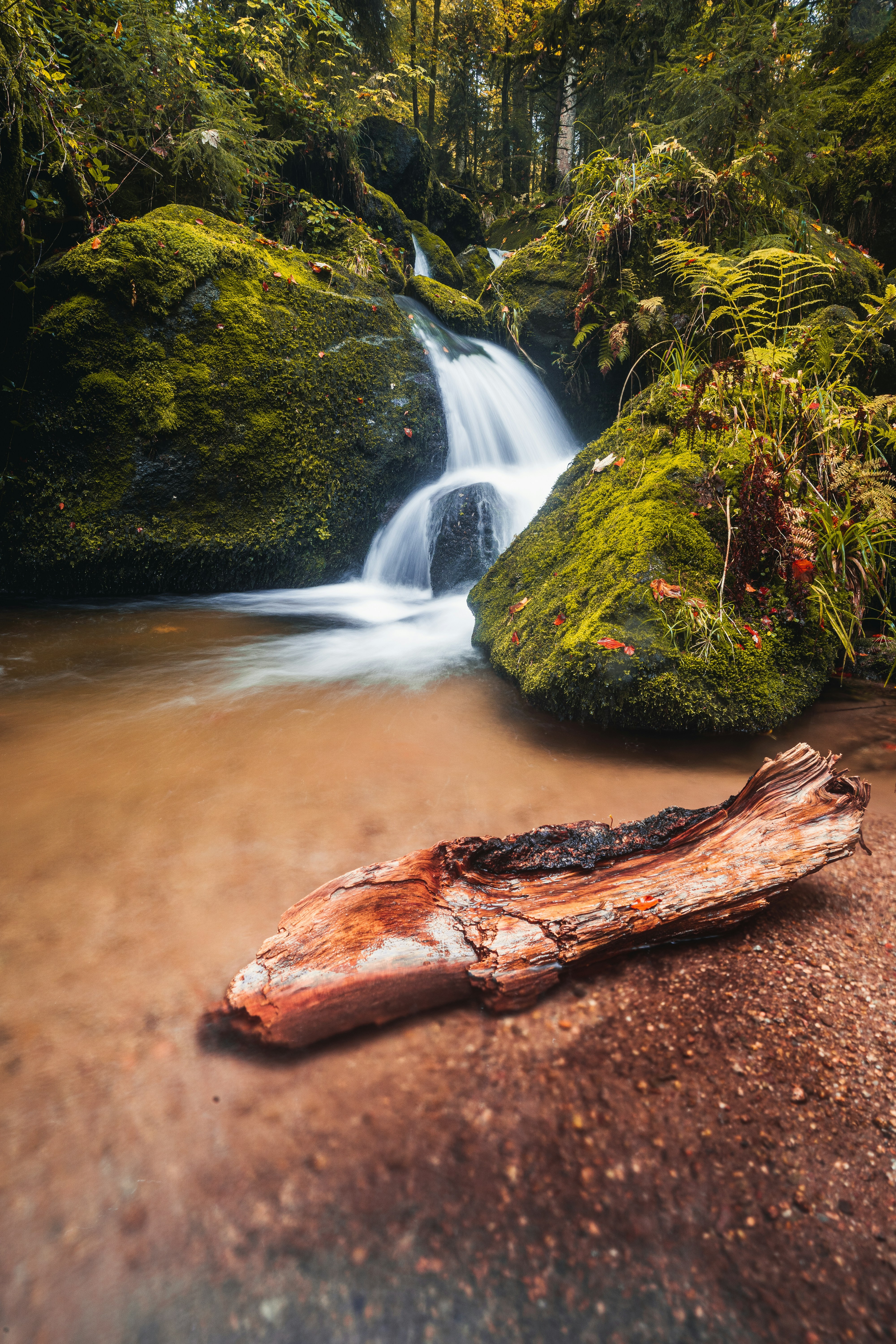 A log laying on the ground in front of a waterfall photo – Free Nature ...