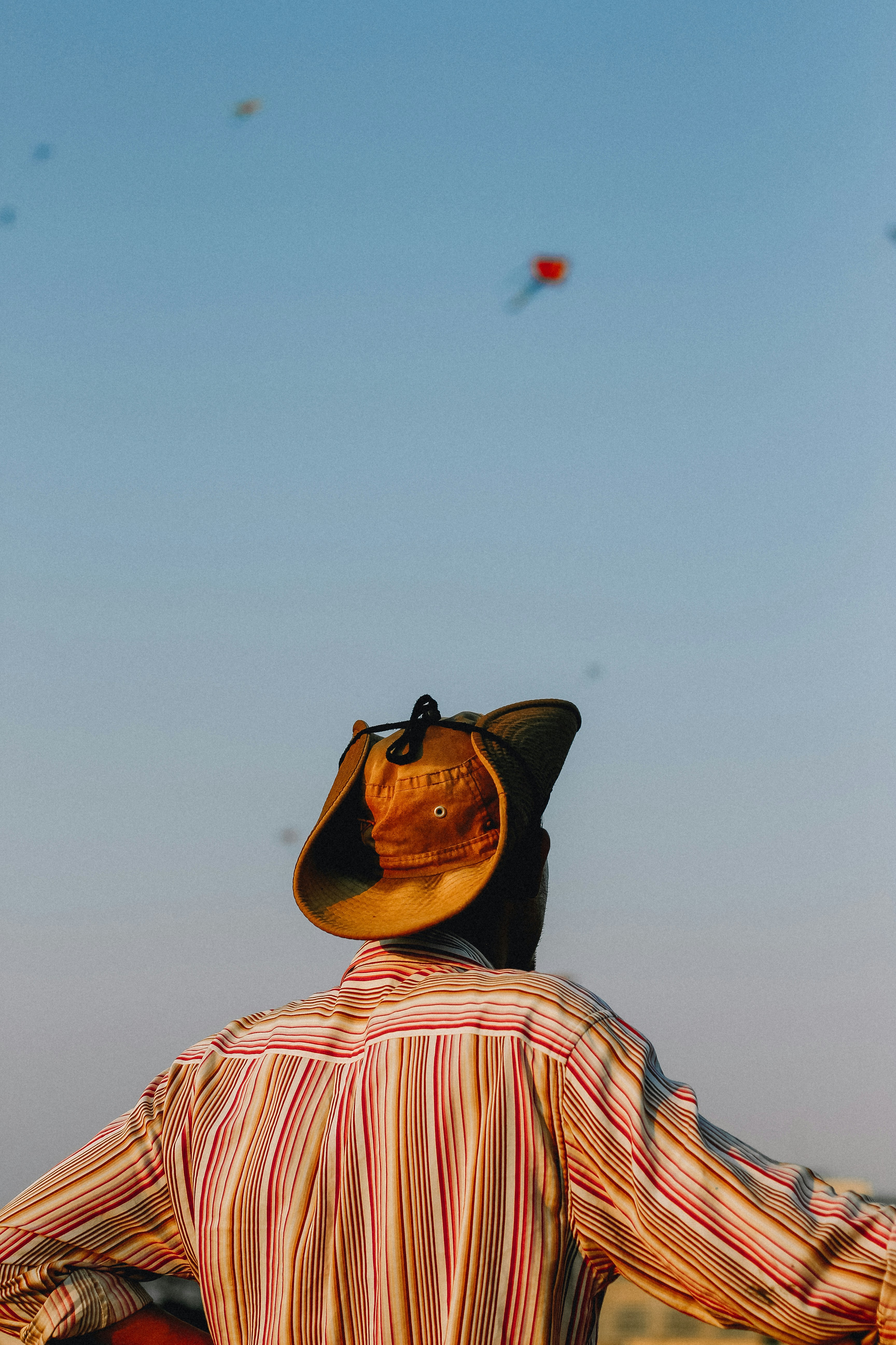 Stripes Against the Sky: A Kite Day from Behind