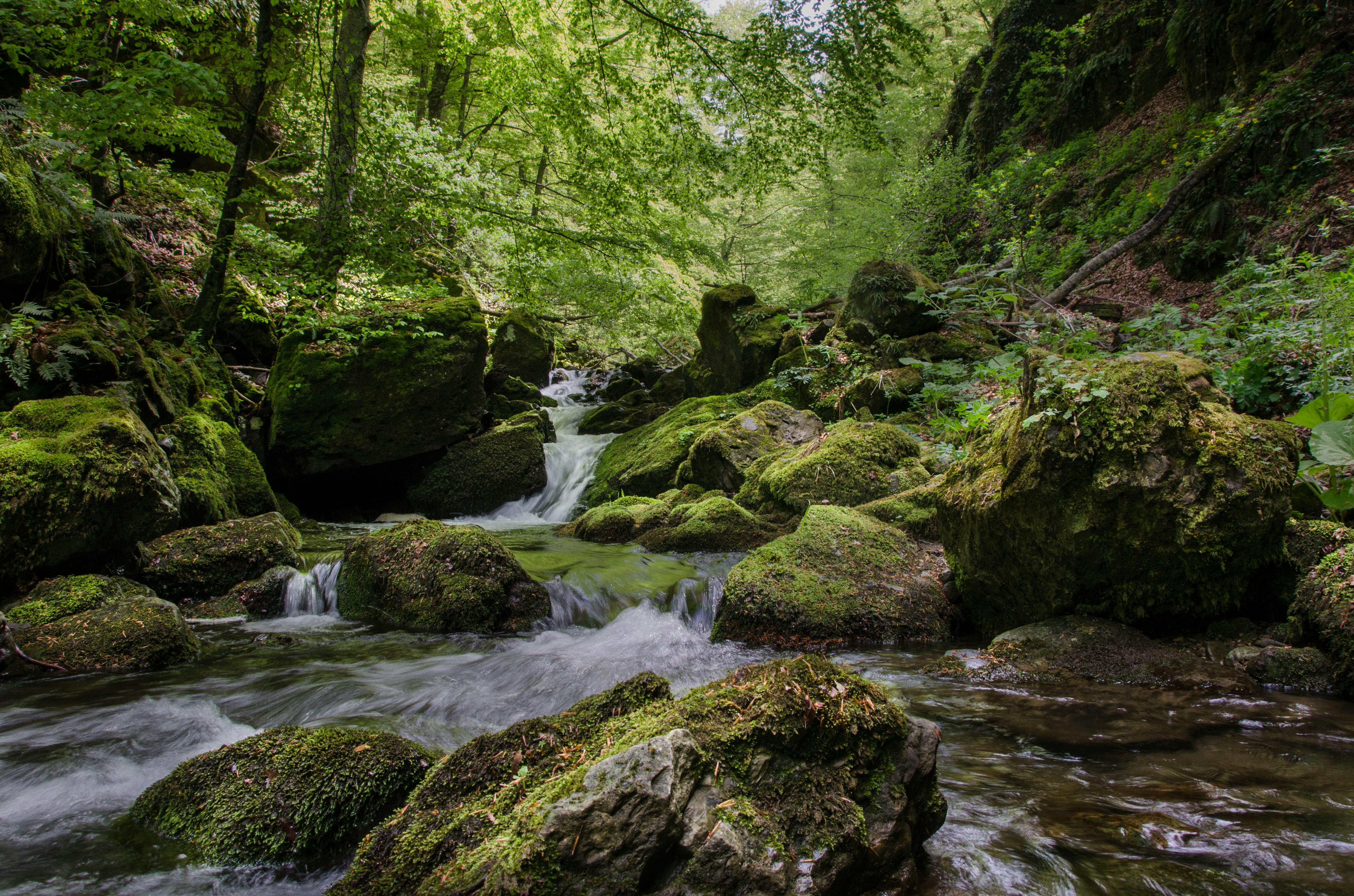 Eroll Demiri (@erolldemiri) | Unsplash Photo Community