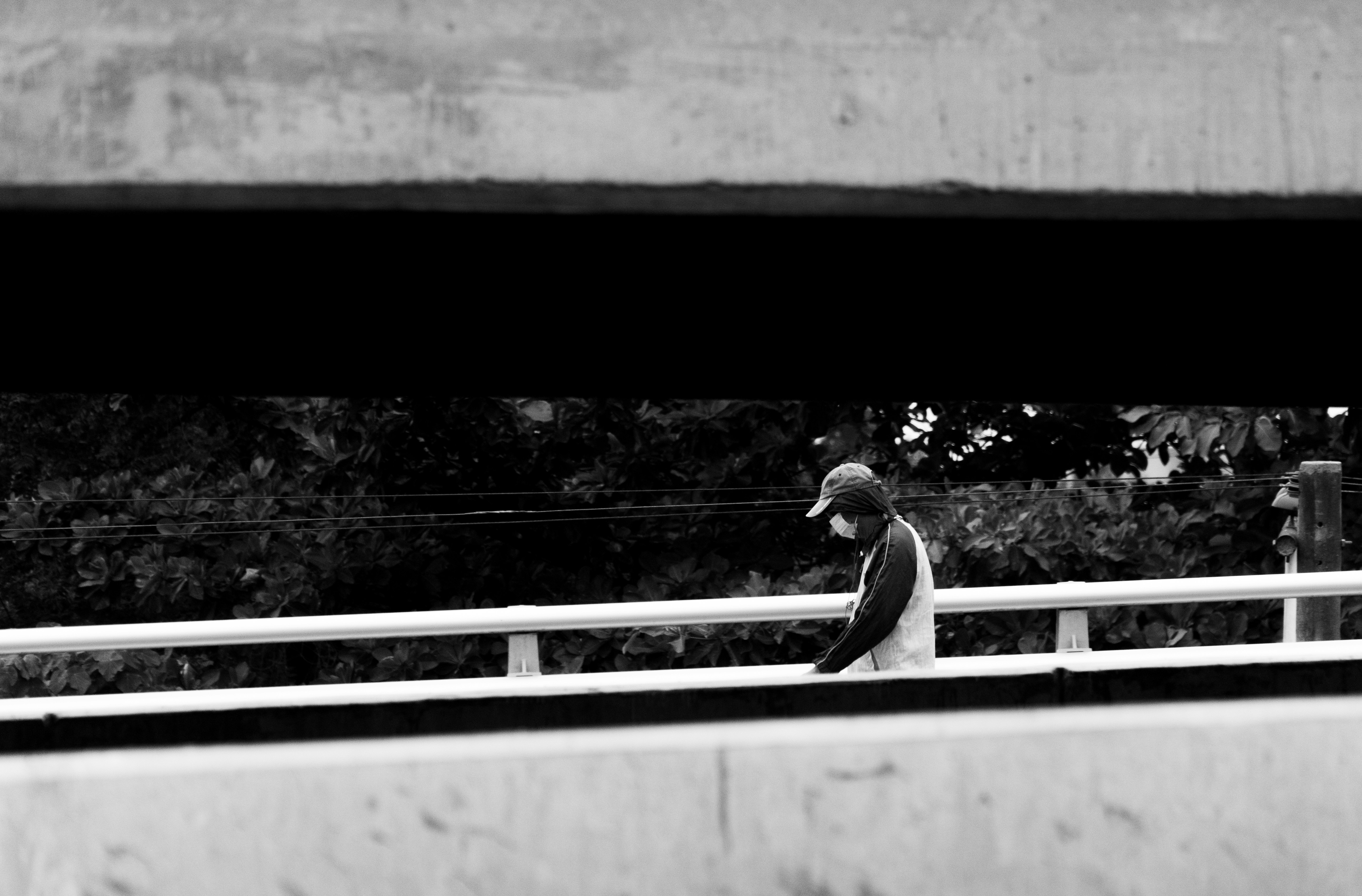 Person walking along a bridge sidewalk framed by concrete beams, with trees in the background.