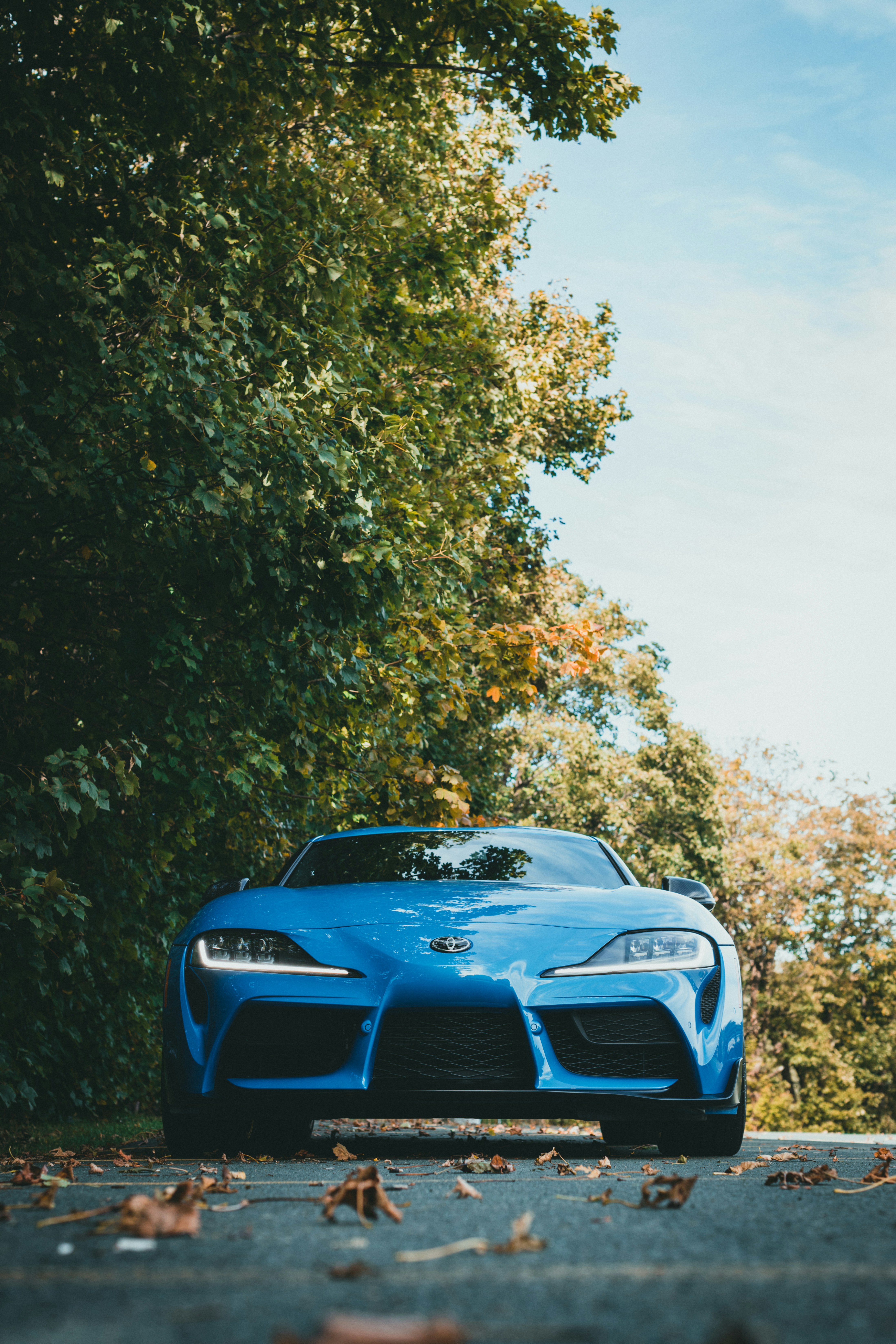 A sleek blue sports car parked on a leaf-strewn road, framed by vibrant autumn foliage. The scene captures the harmony between nature and automotive design.