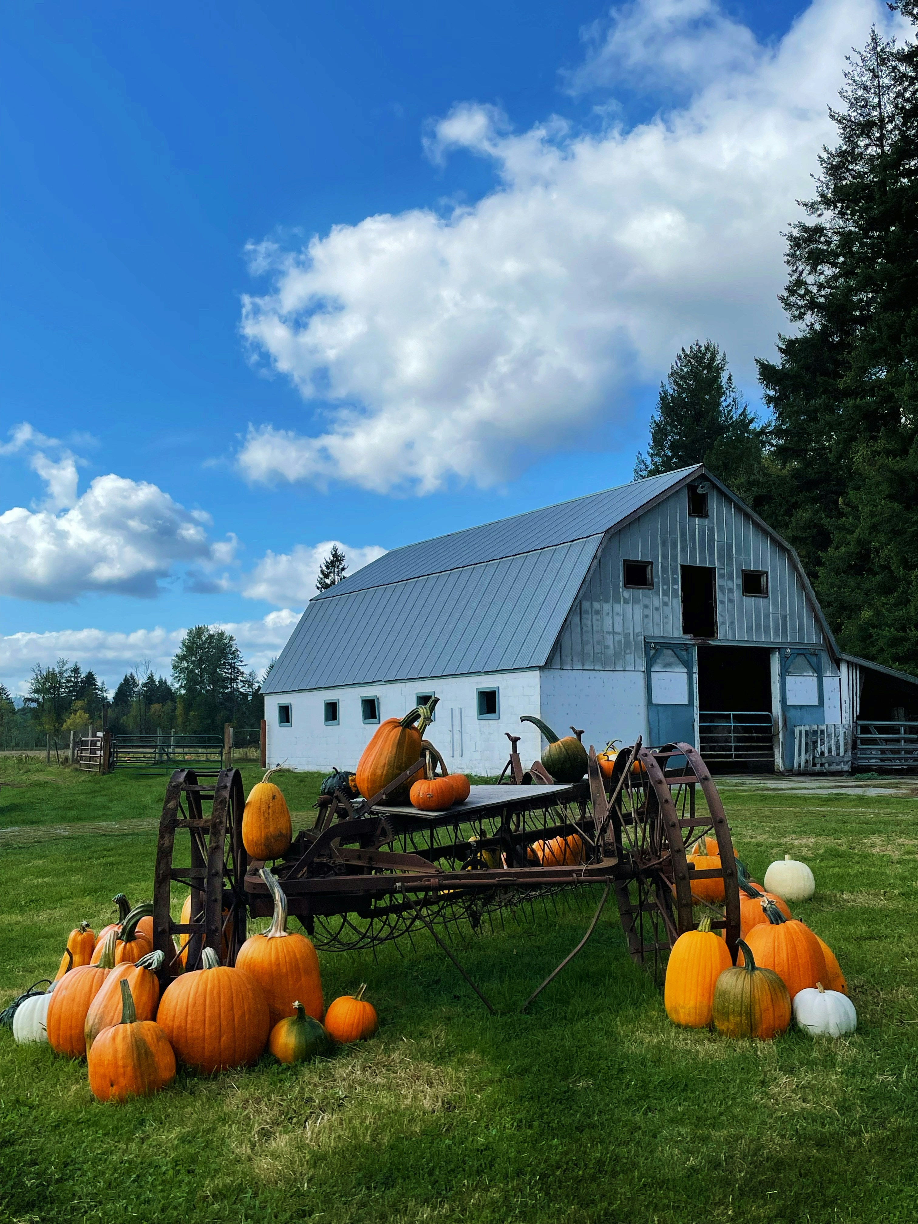 A vintage farm cart adorned with vibrant pumpkins in a lush green field, set against a charming barn and a backdrop of blue skies and fluffy clouds.