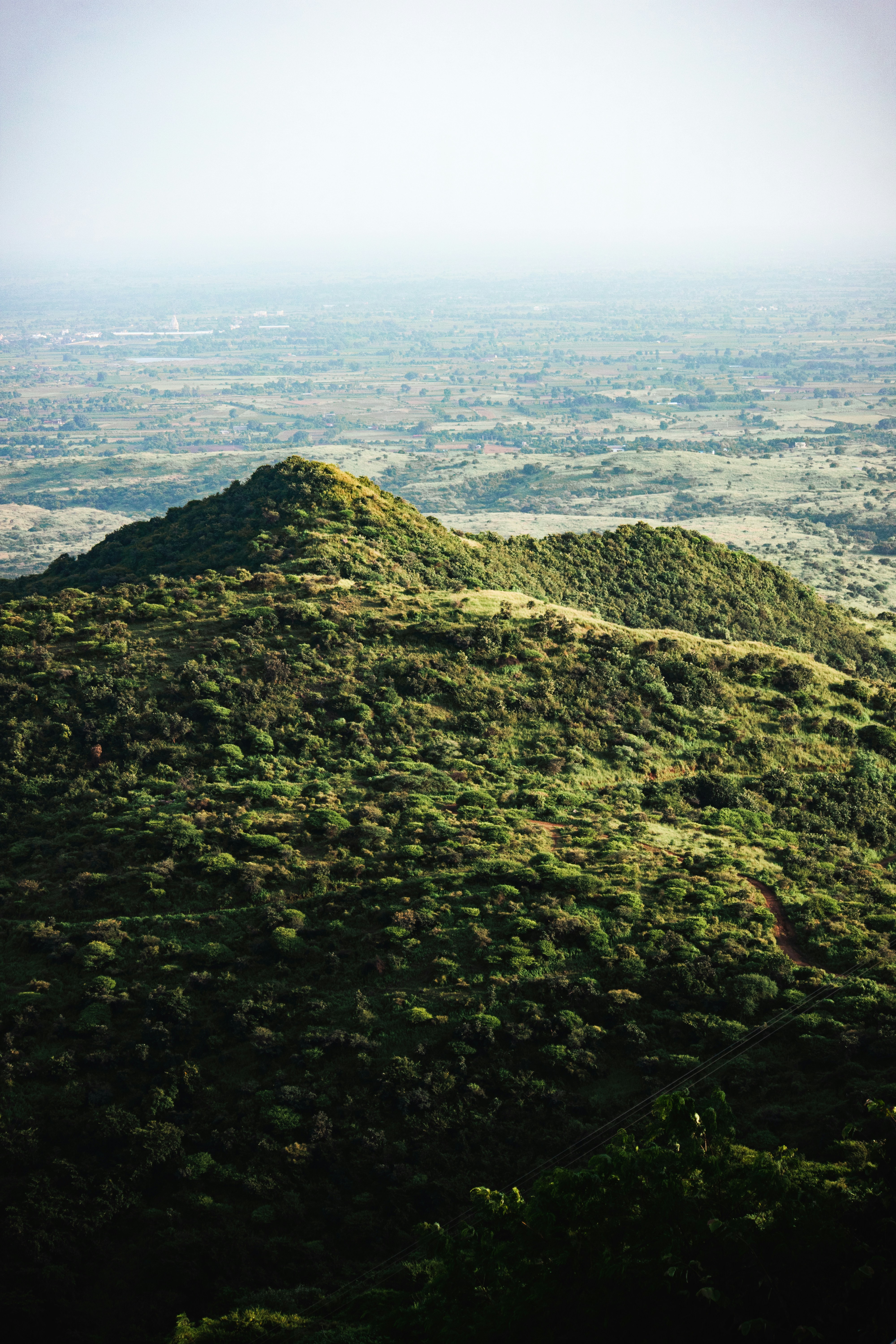 Verdant Ridge: Morning Light Over the Patchwork Plain