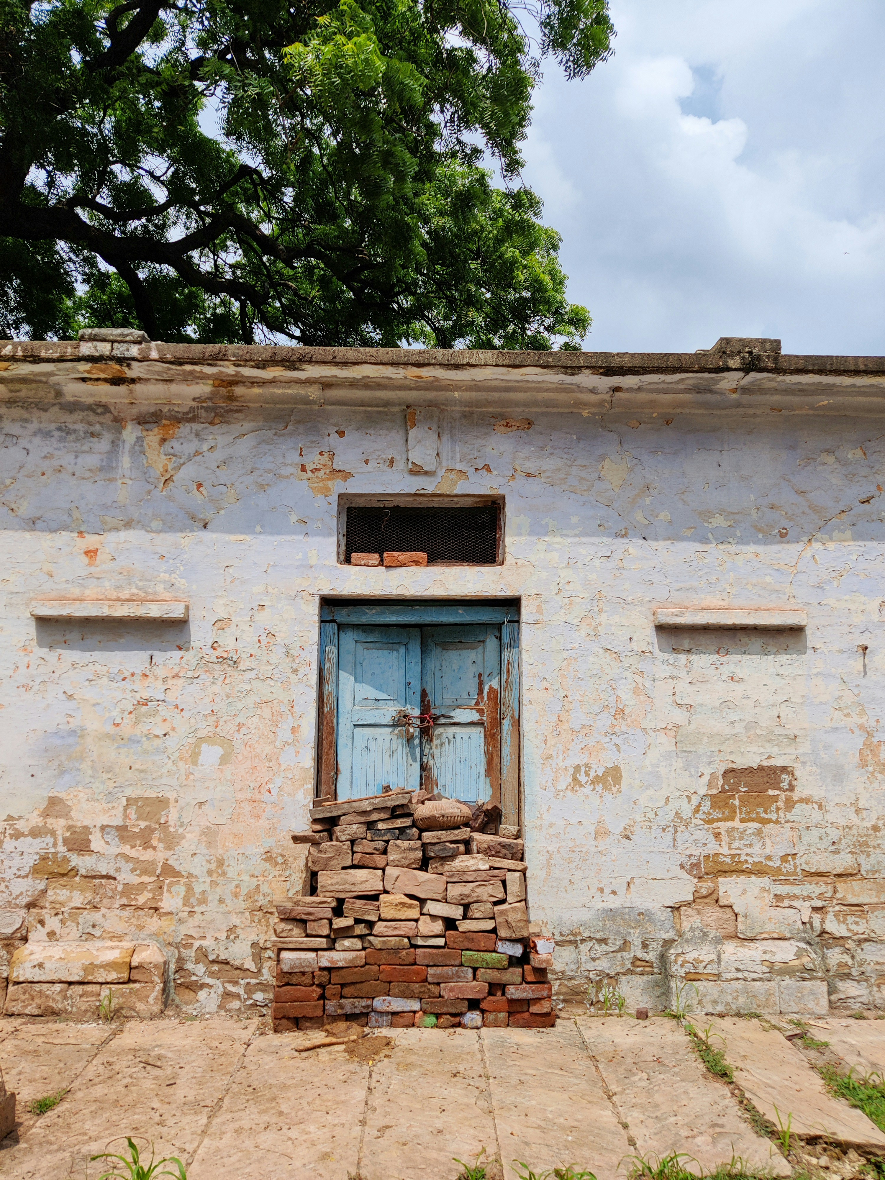Weathered building with a blue door and stacked bricks beneath lush tree branches.