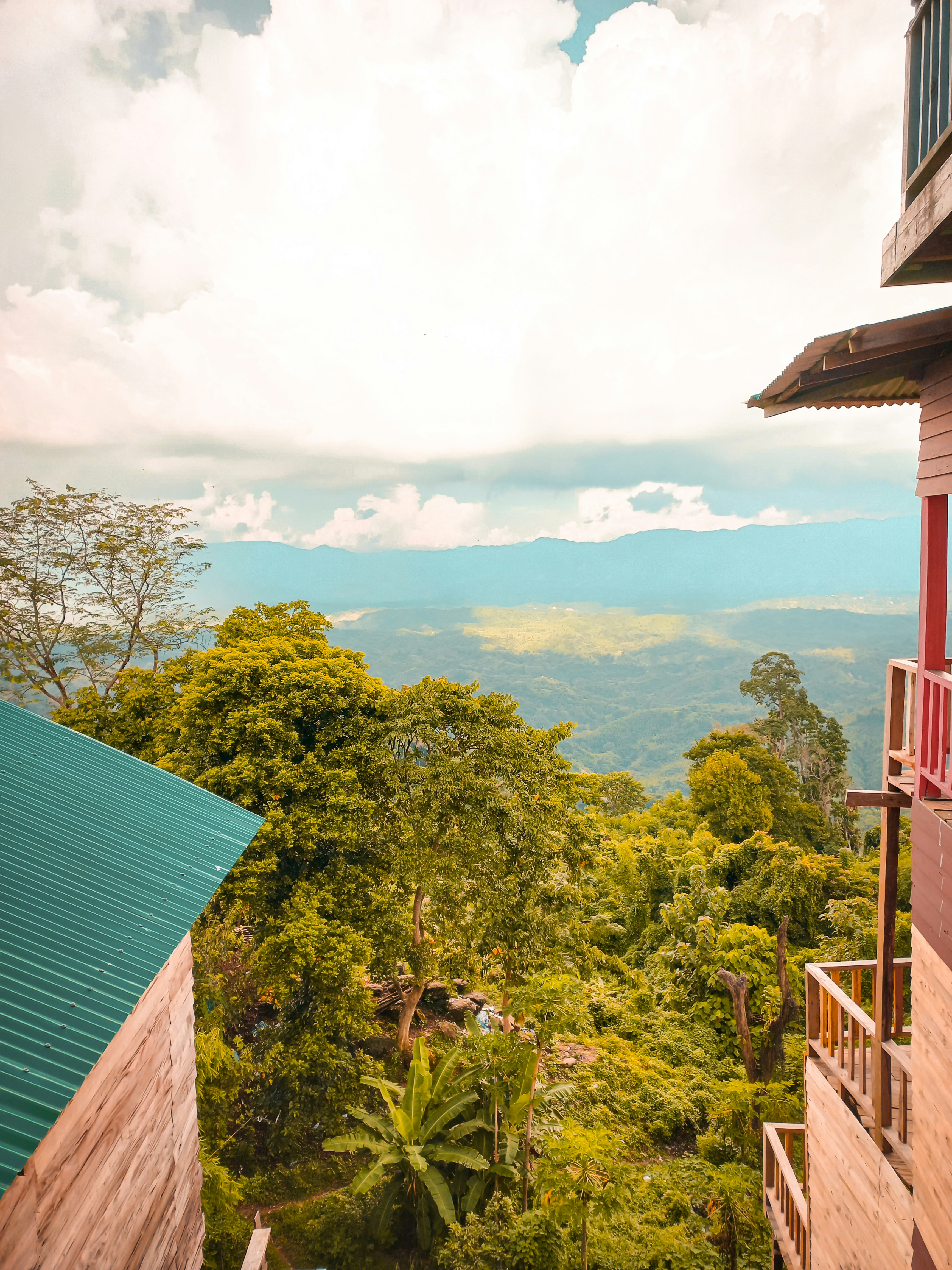 Une vue d’une forêt verdoyante depuis un bâtiment photo – Photo Rural ...
