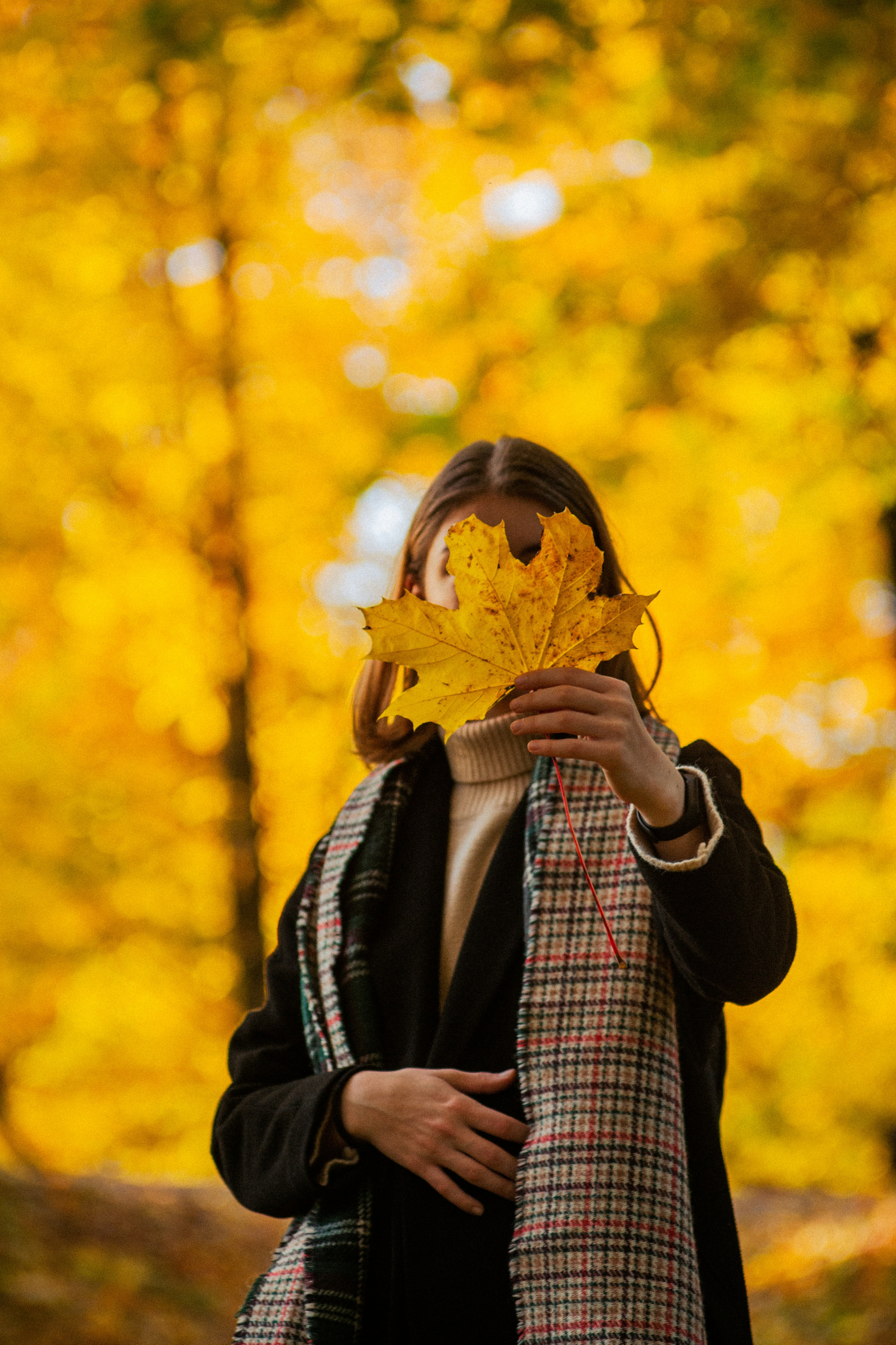 Leaf as Mask in a Corridor of Autumn Light