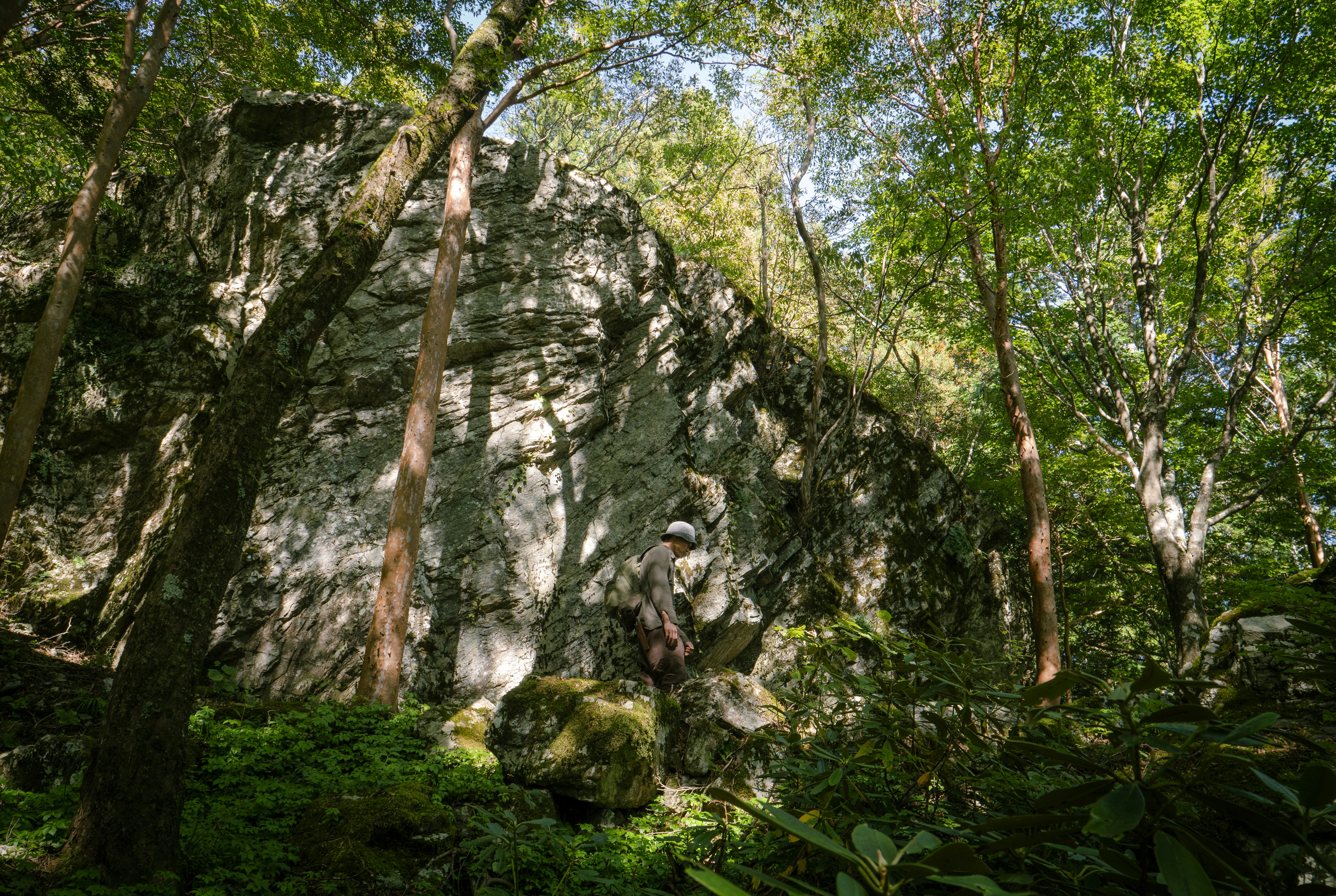 Verdant Ascent: Climber Tackles a Mossy Rock Face Beneath Sunlit Canopy