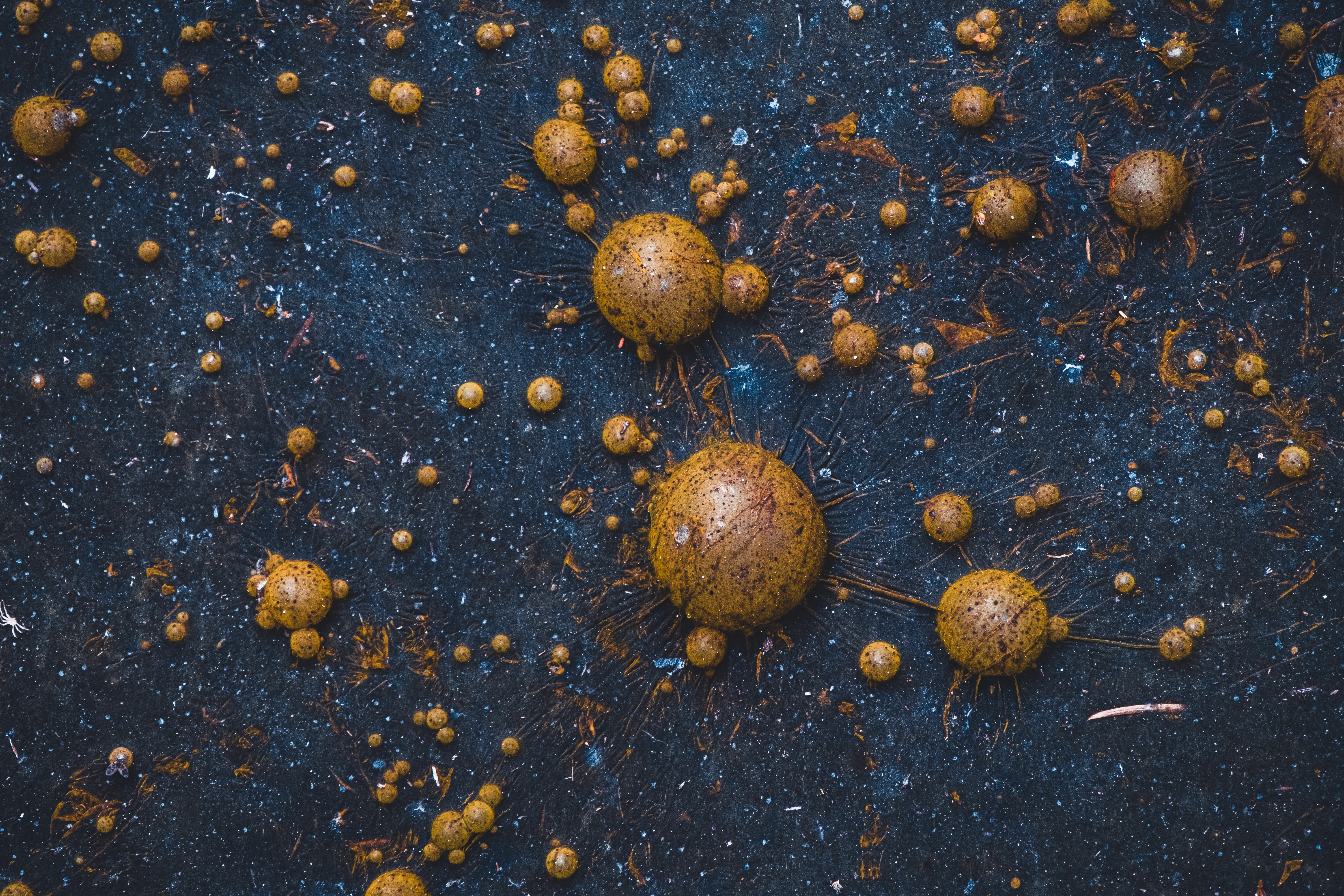 Amber Orbs on a Midnight-Blue Surface
