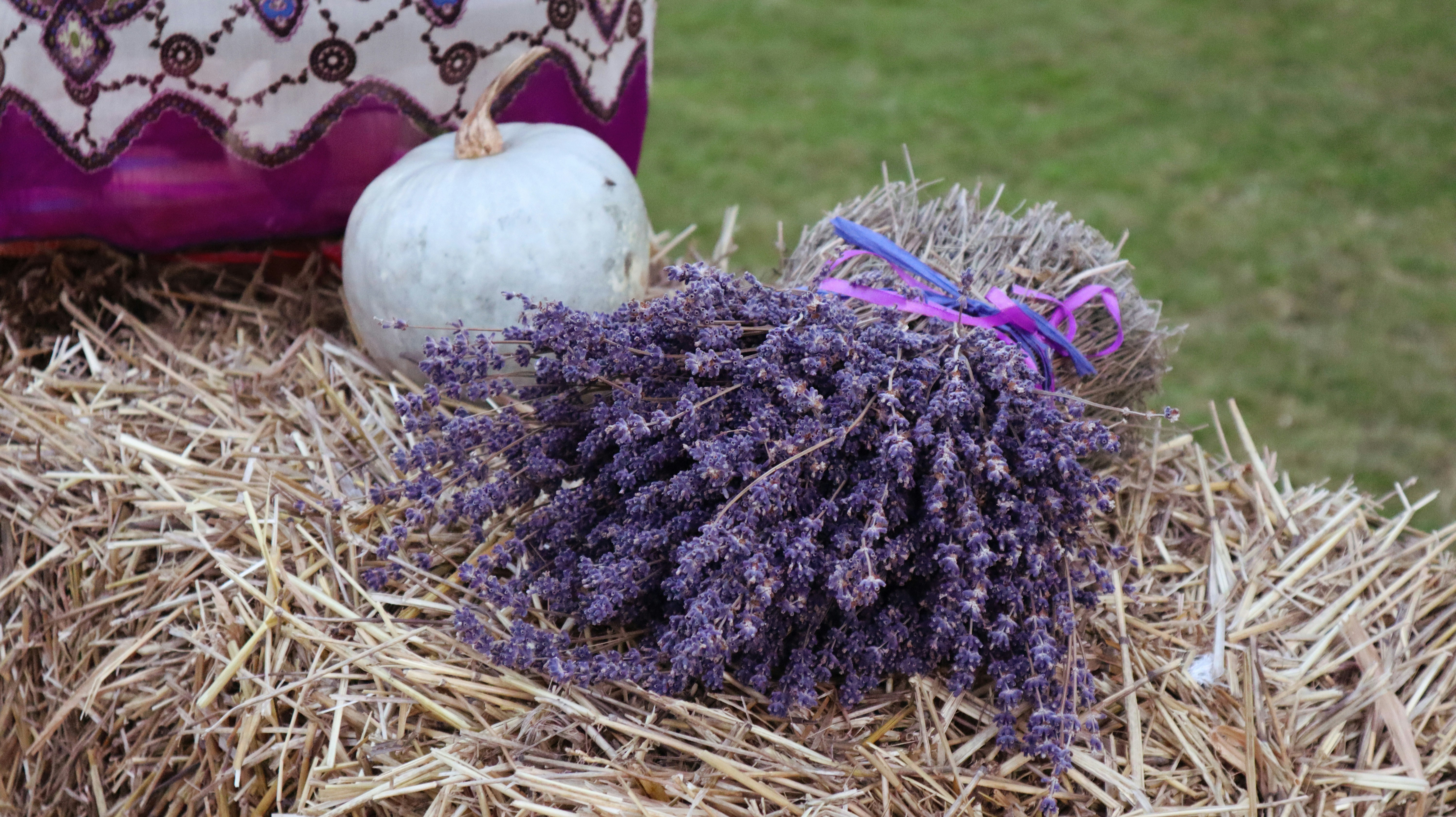 a pile of hay next to a purse on top of a pile of hay