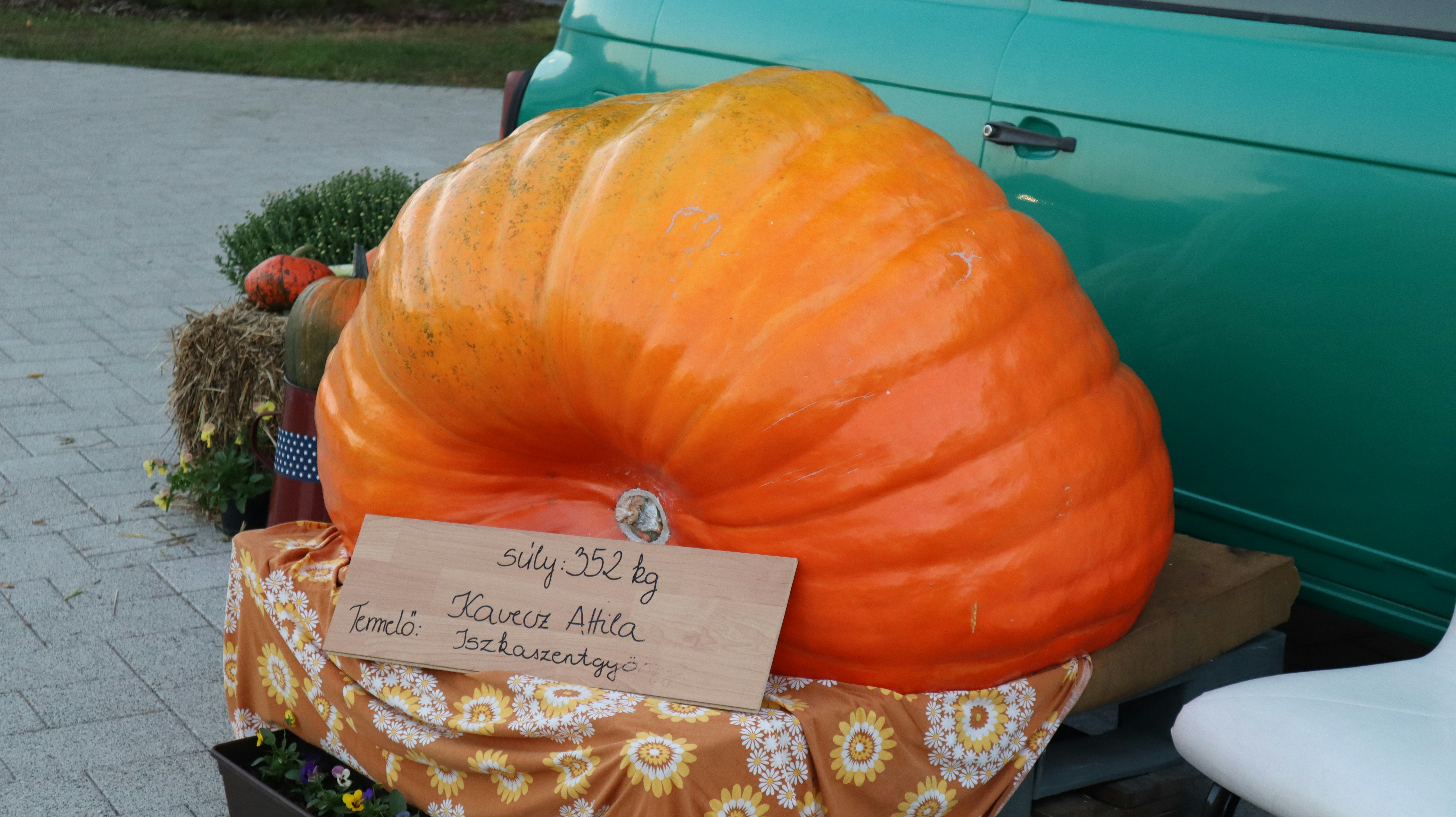 Autumn Centerpiece: A Jumbo Pumpkin Anchors a Rustic Display by a Teal Van