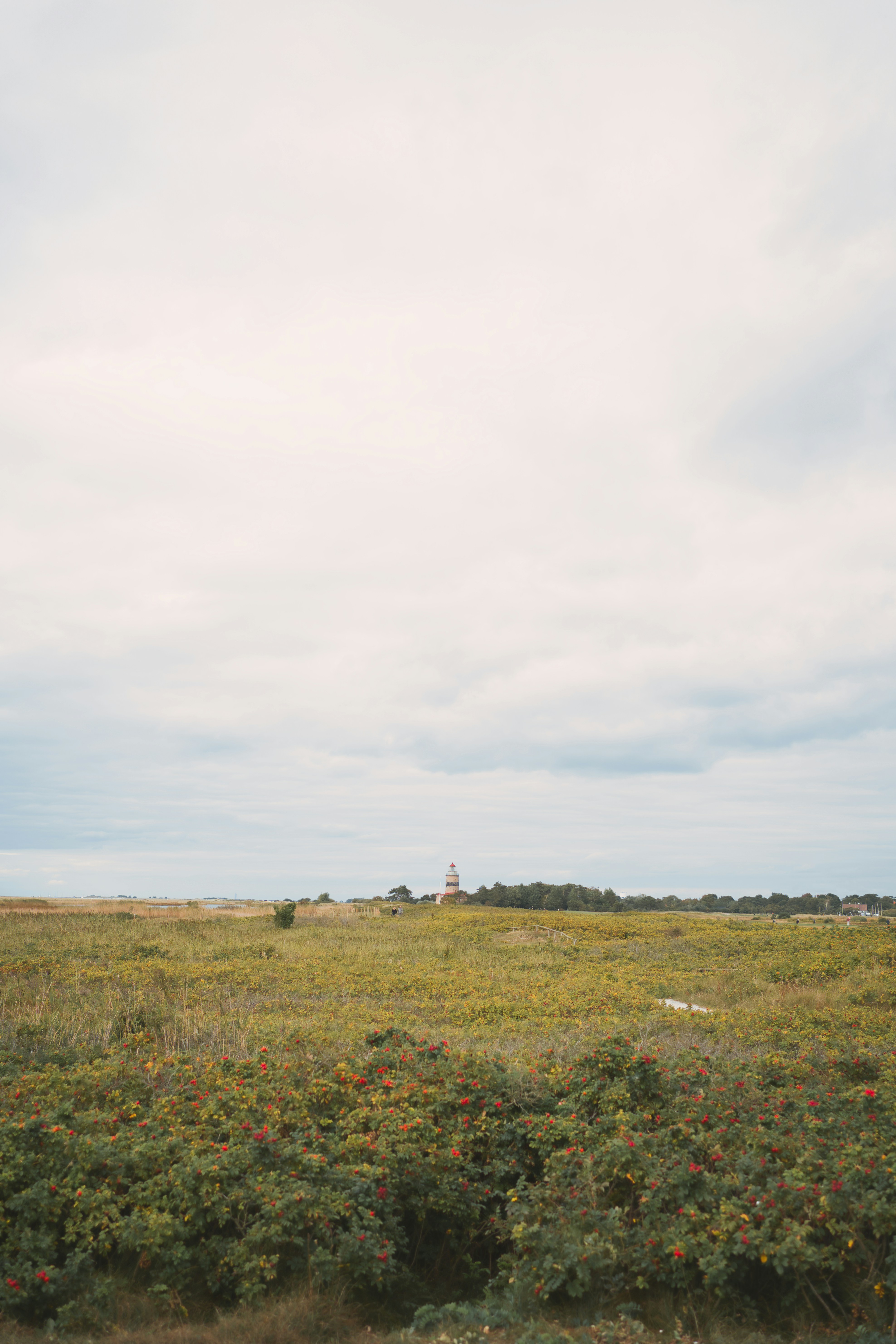 A serene coastal landscape featuring a distant lighthouse surrounded by lush greenery and a cloudy sky.