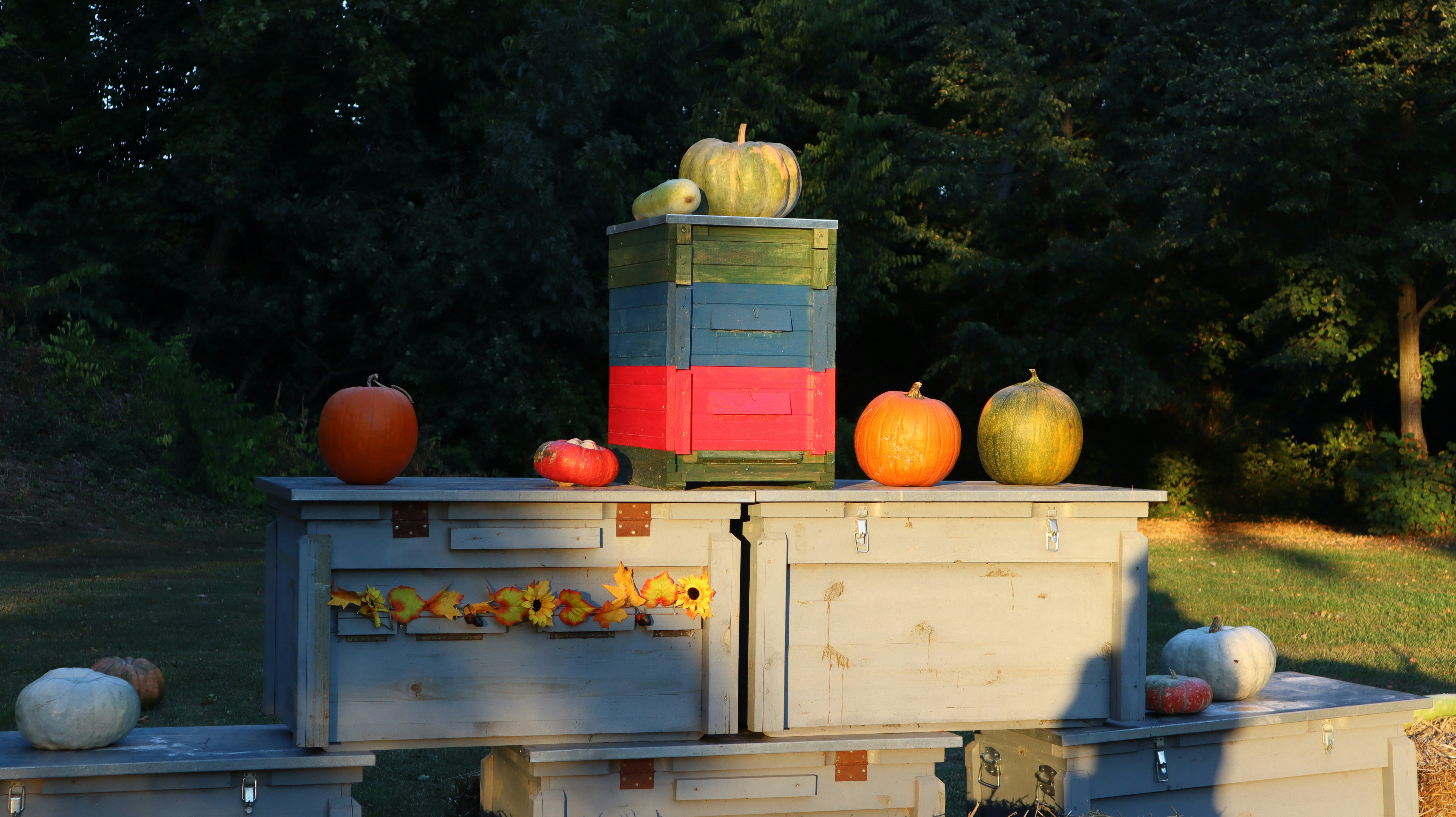Harvest Stack: pumpkins perched on painted crates in quiet park light