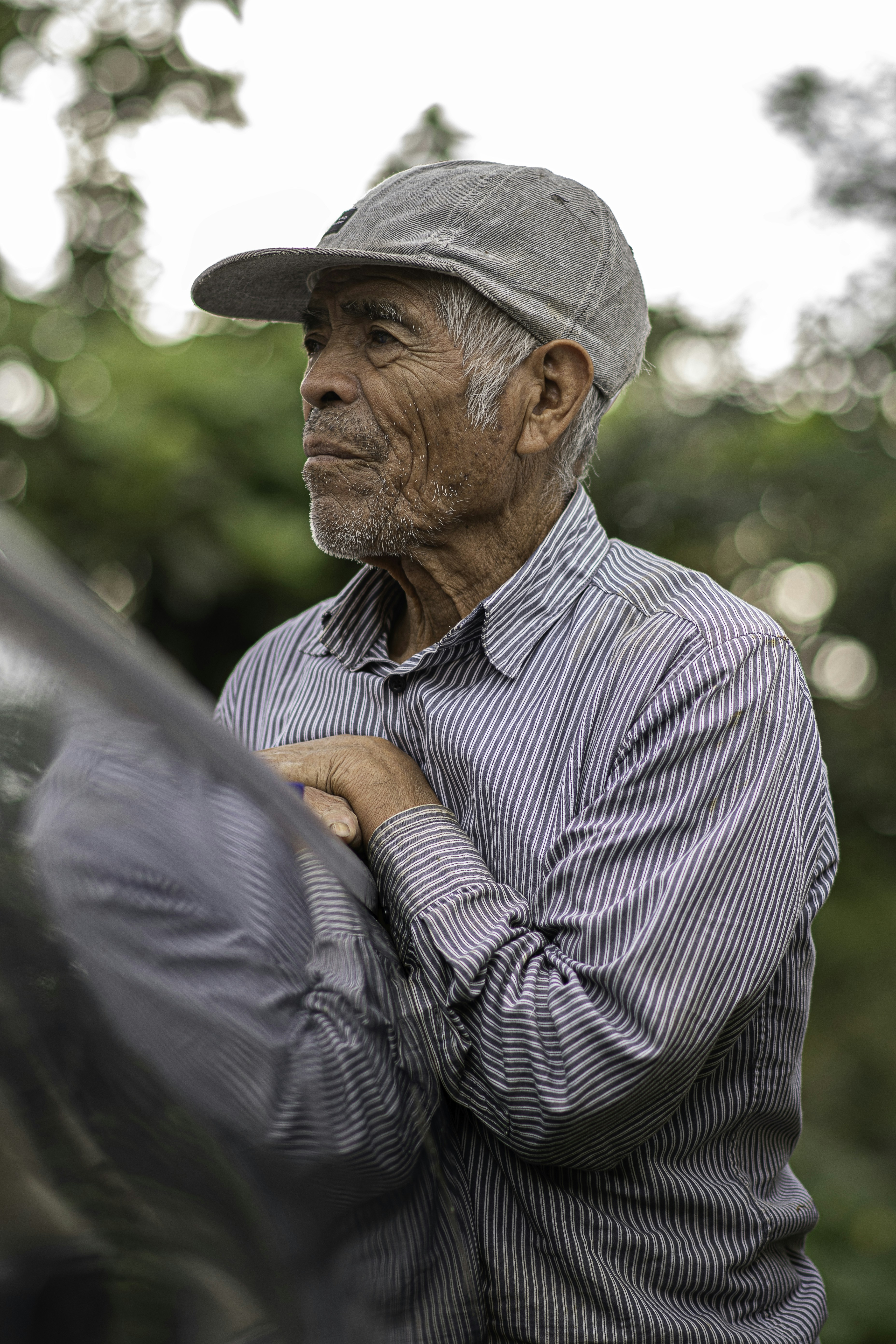 Elderly man in a striped shirt and cap gazes thoughtfully into the distance, embodying wisdom and experience amidst a blurred natural backdrop.
