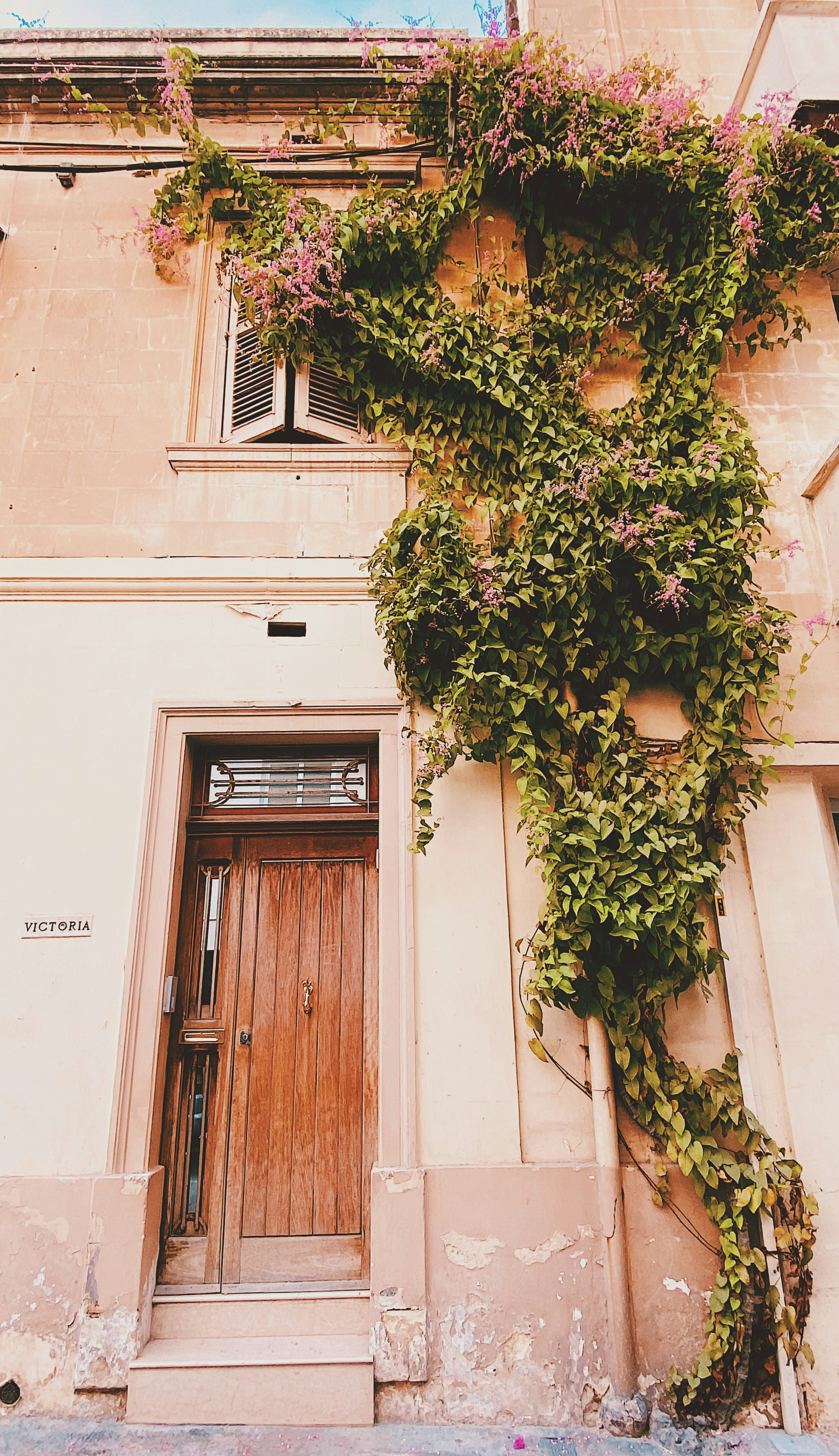 A building with a vine growing on the side of it photo – Free Streets ...