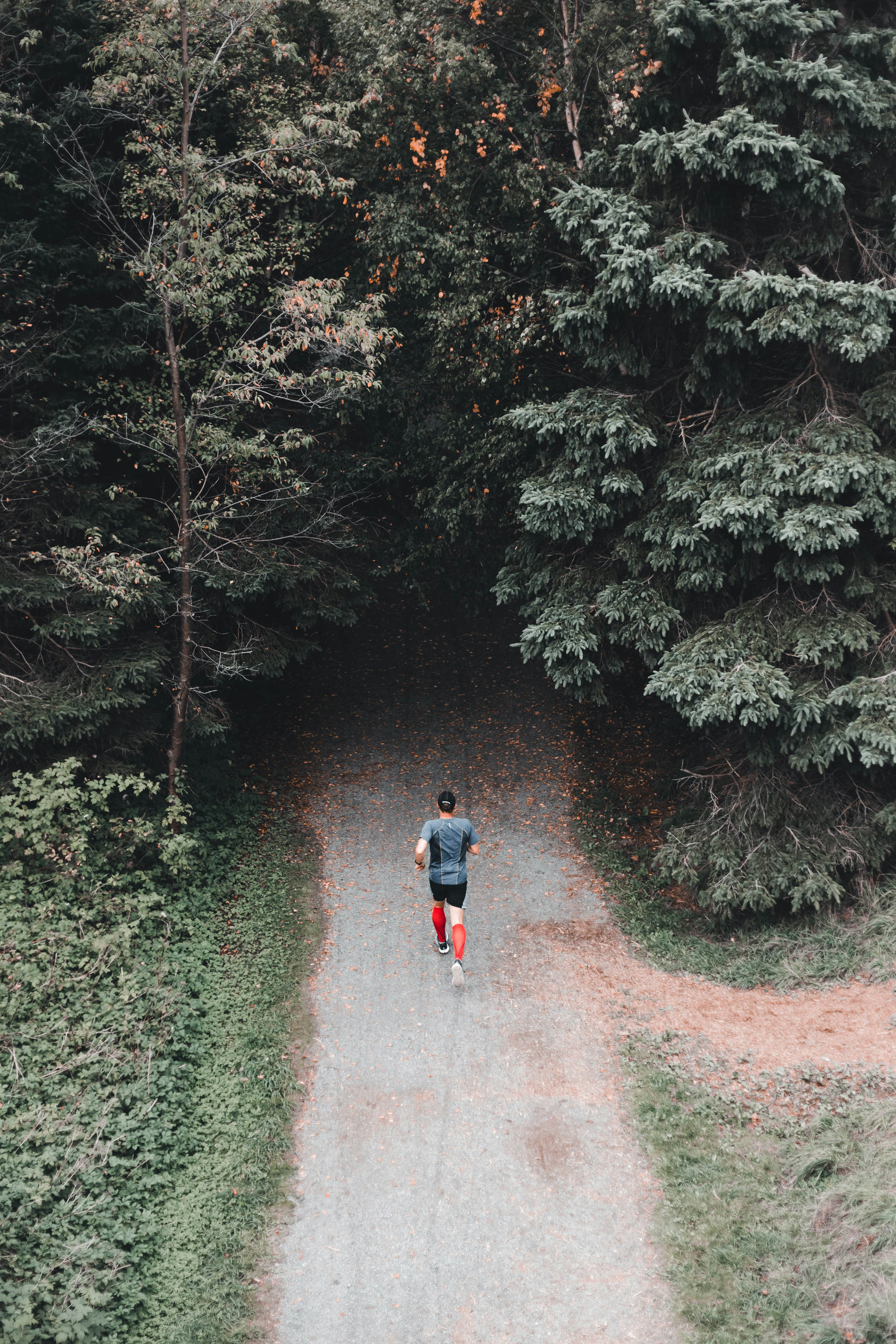 A person running down a dirt road in the woods photo – Free Human Image ...