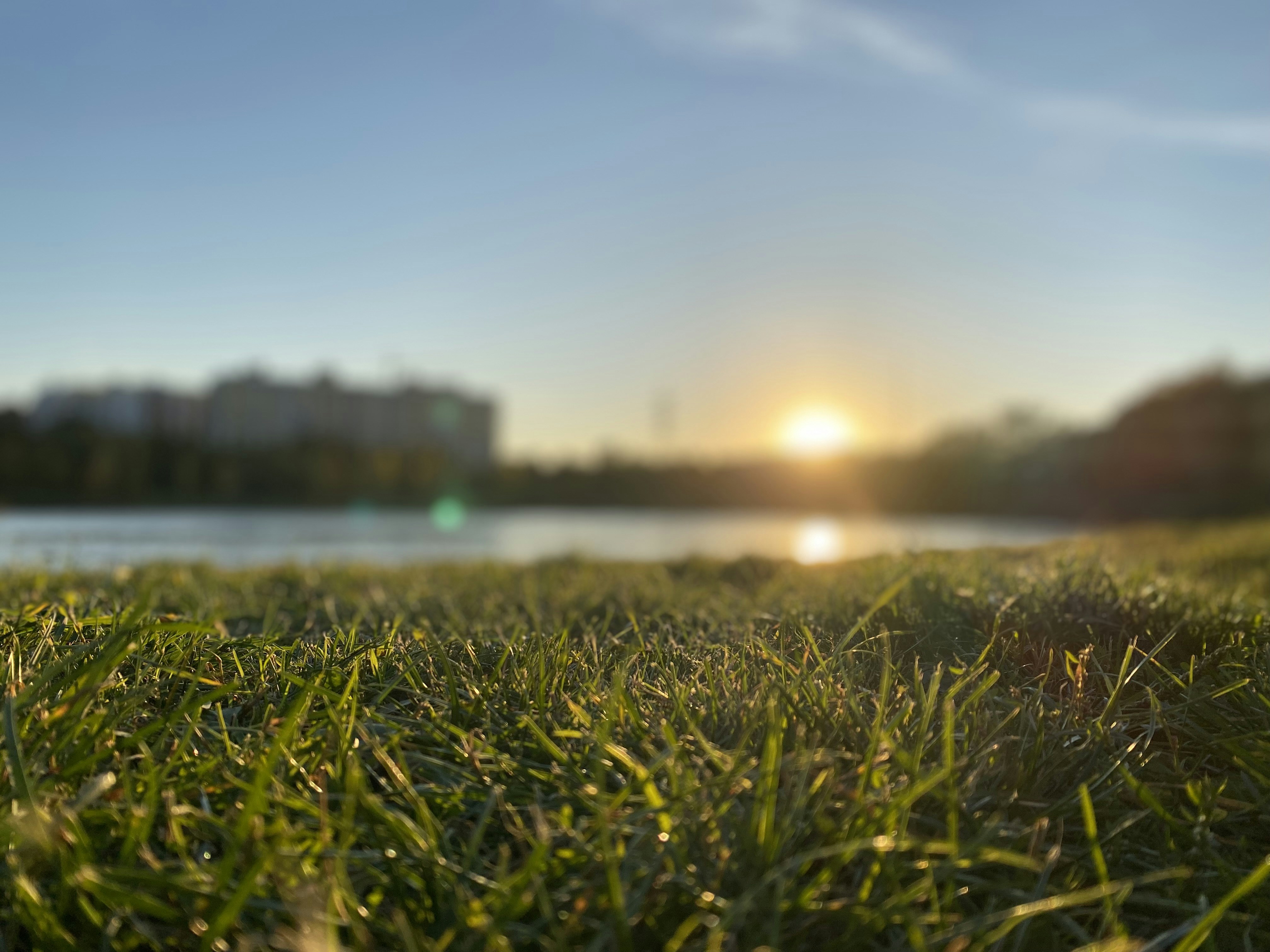 Daria Smirnova (@dariasm) | Unsplash Photo Community