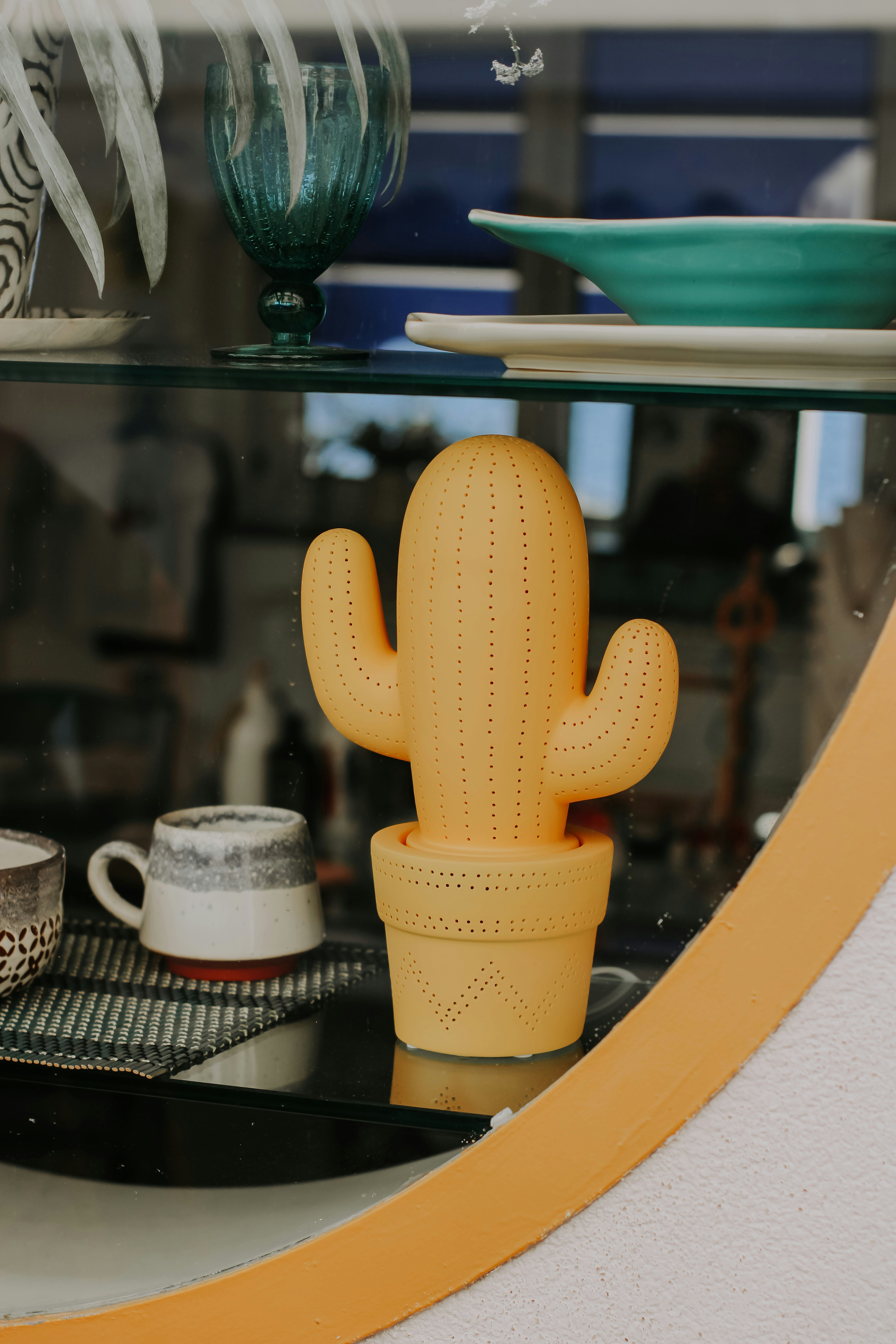 A yellow cactus sitting on top of a glass shelf photo – Free Plant ...