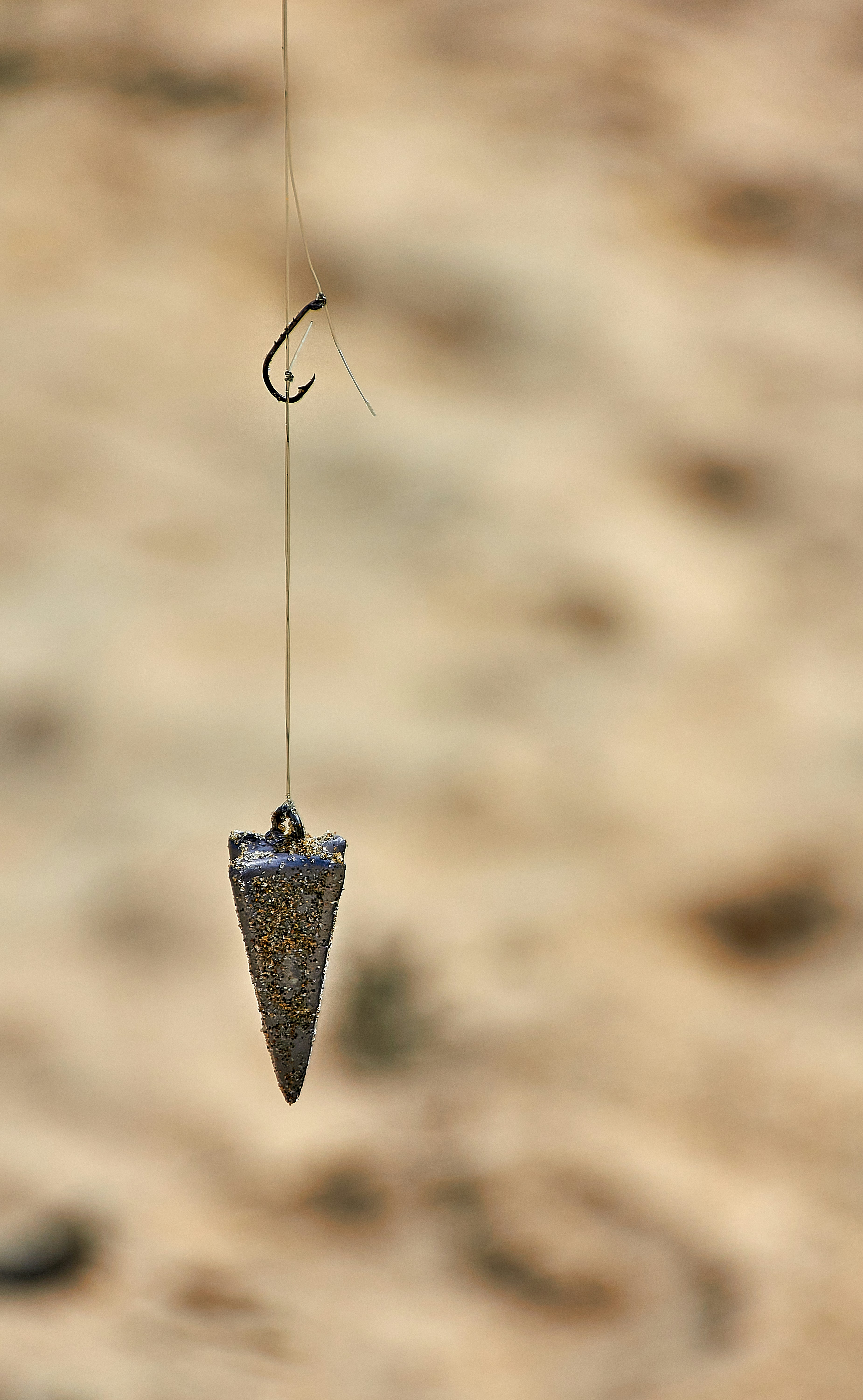 Suspended Cone Weight: Quiet Shore Portrait in Creamy Beach Light