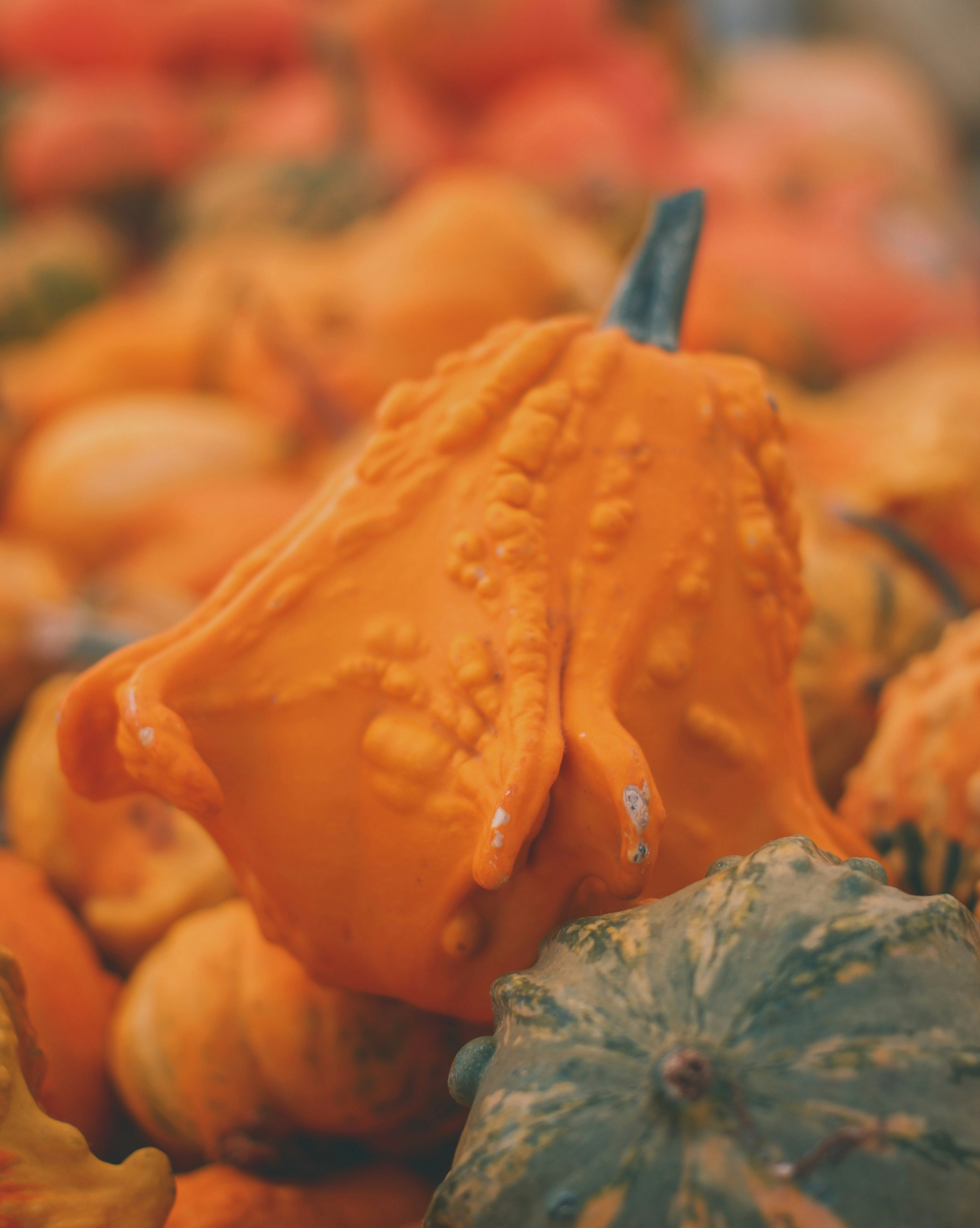a close up of a pumpkin with orange paint on it