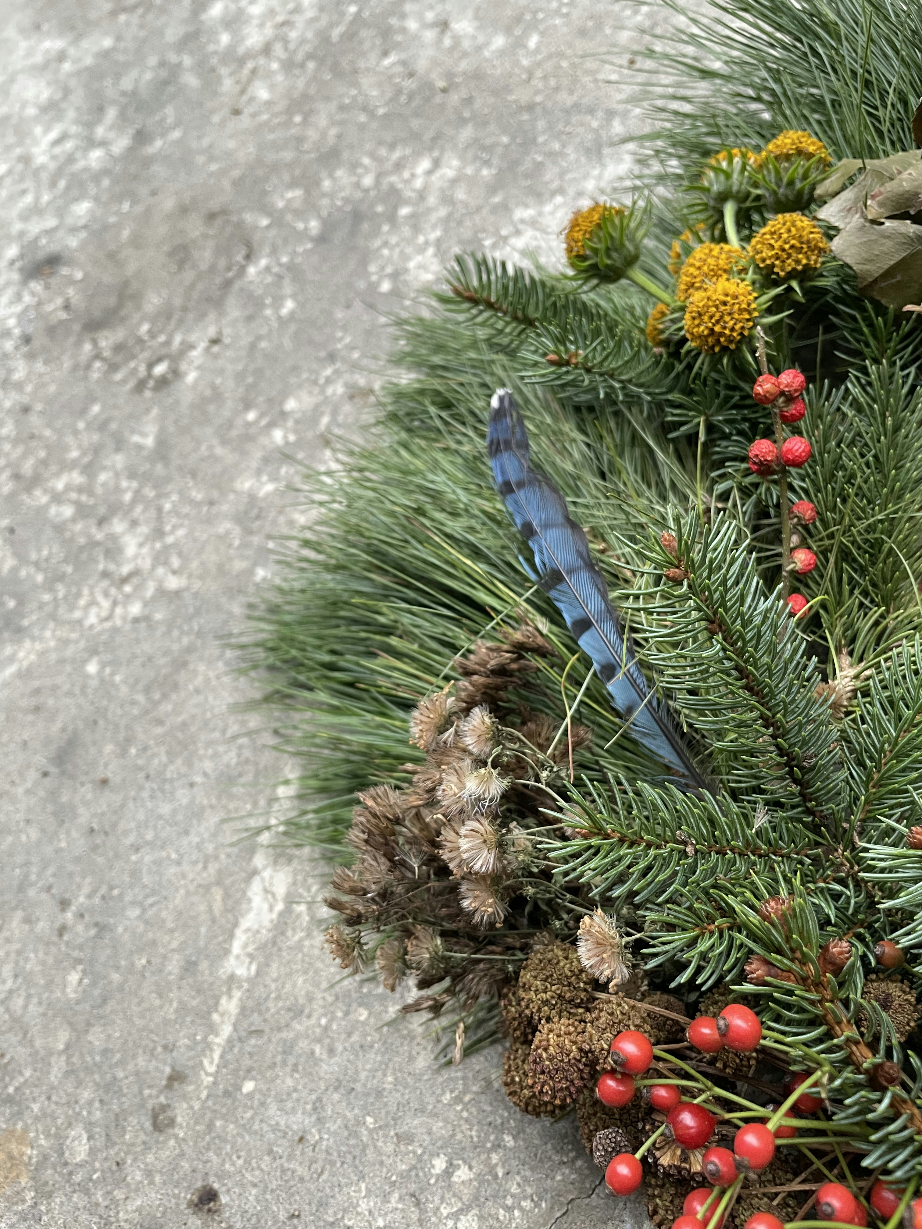 Preethi Viswanathan (@sallybrad2016) | Komunitas Foto Unsplash