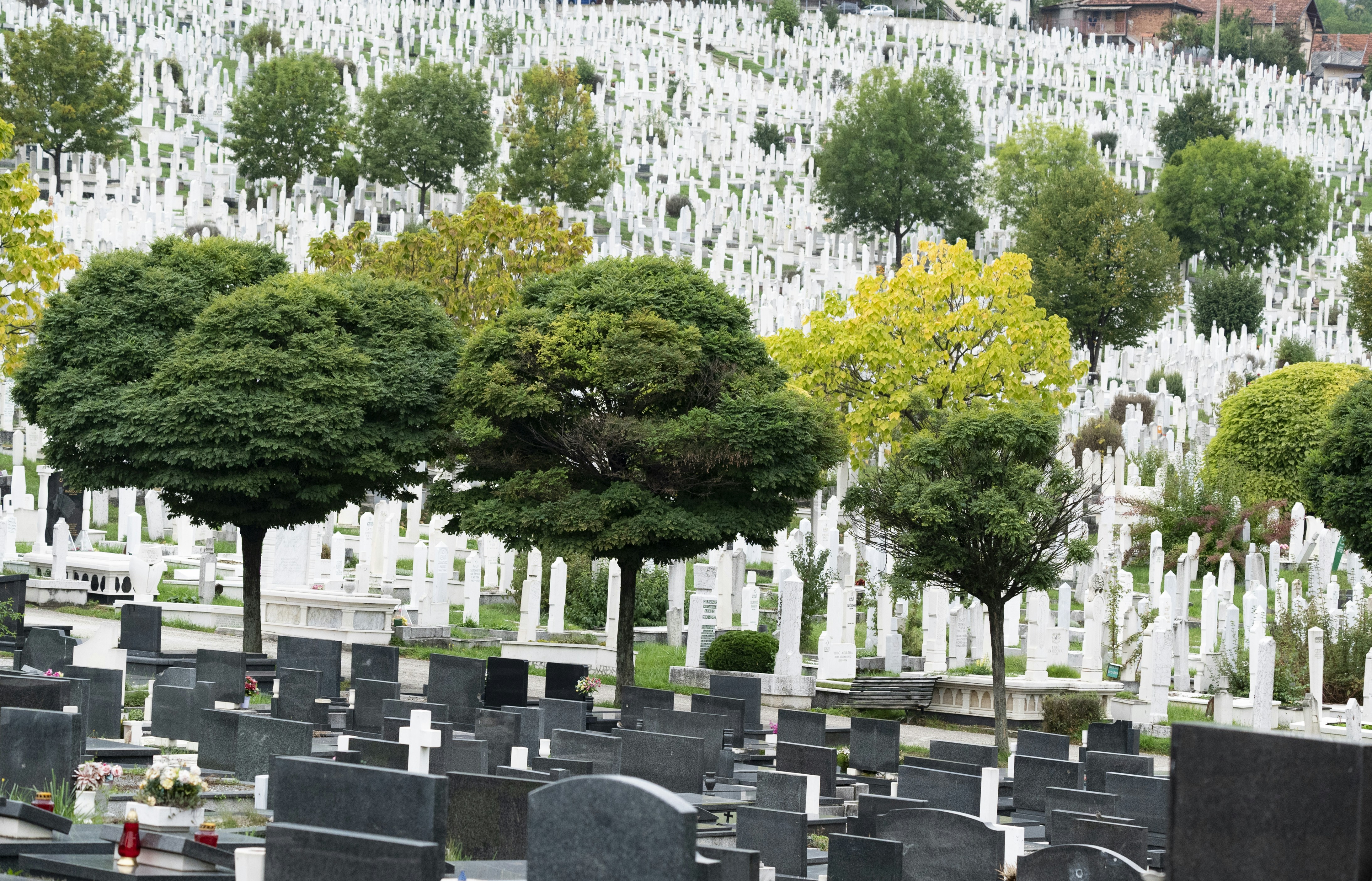 Rows of white tombstones stretch across a hillside cemetery, interspersed with green and yellowing trees.