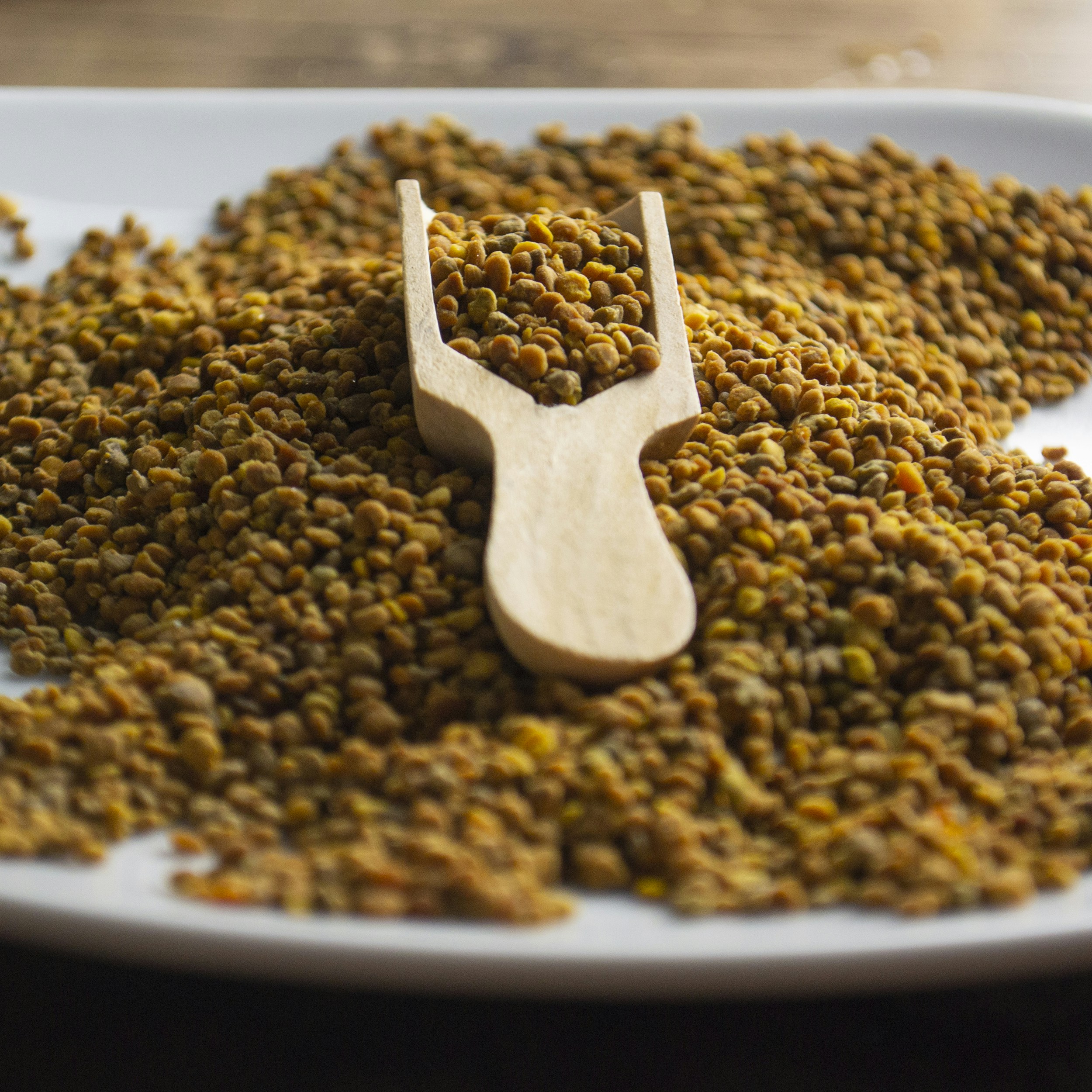 Golden Pollen Spotlight: A Macro Portrait of a Wooden Scoop
