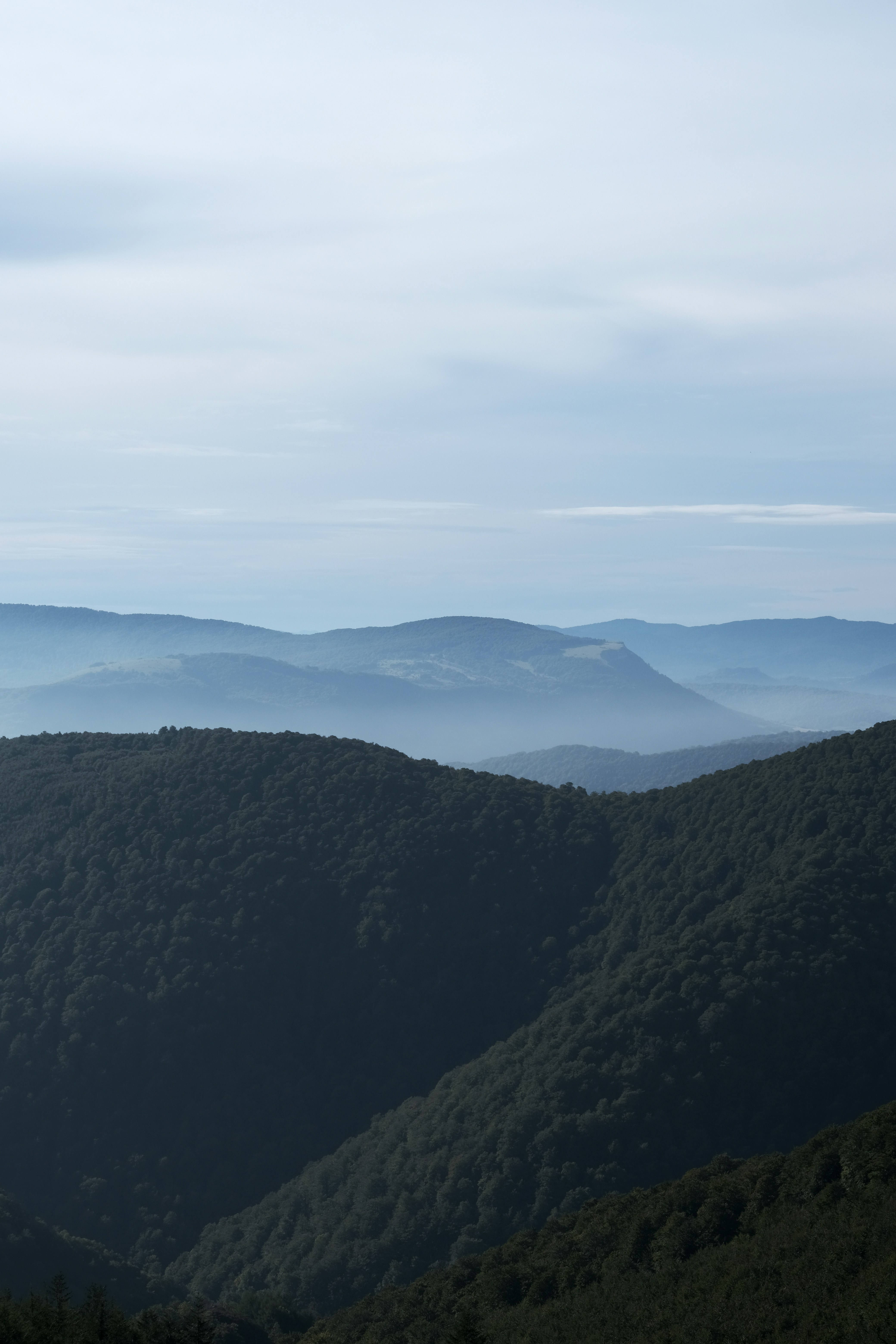 Rolling hills shrouded in mist create a serene landscape under a soft, cloudy sky.