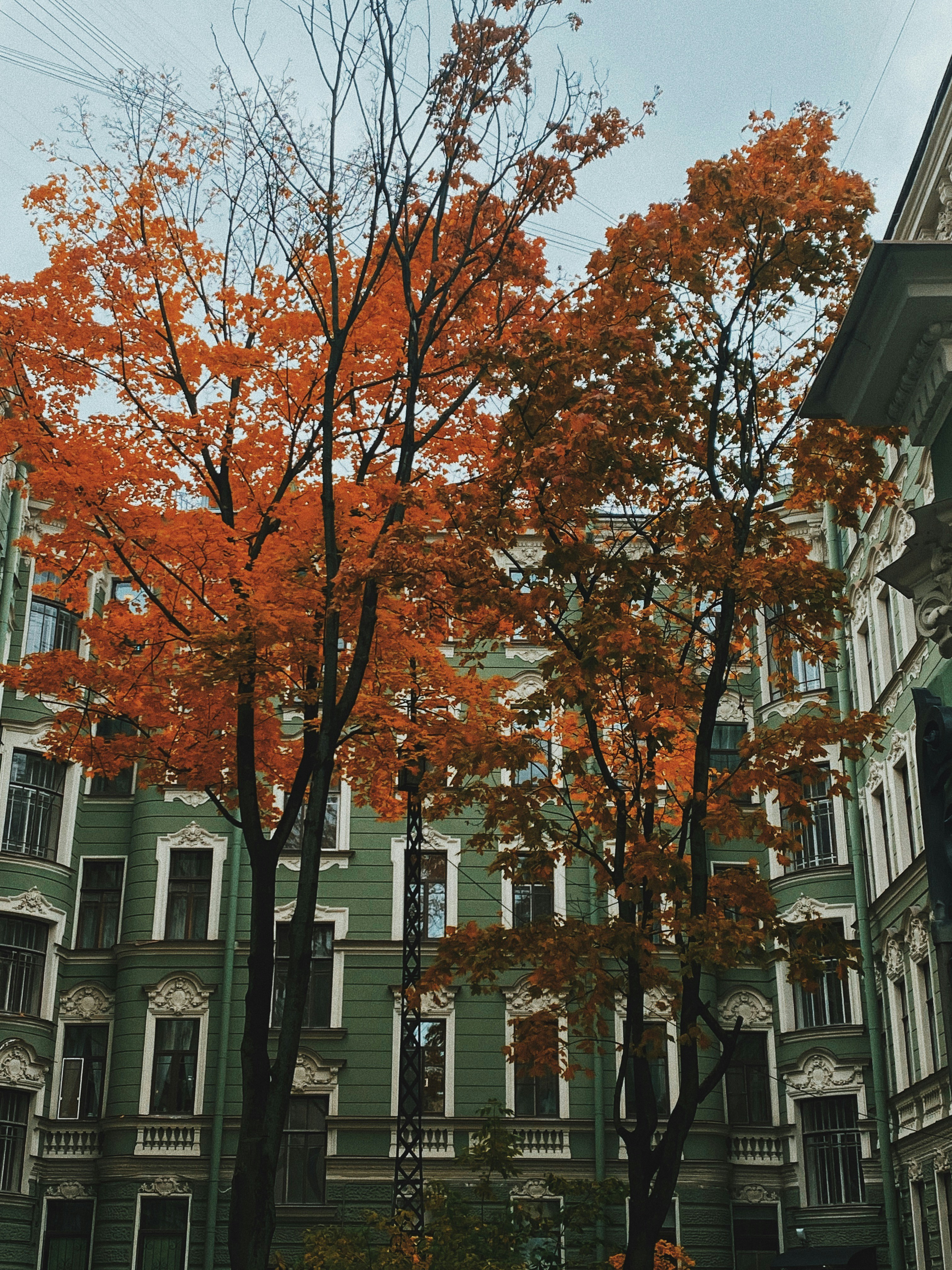 Crimson Canopy Framing a Green Classical Facade