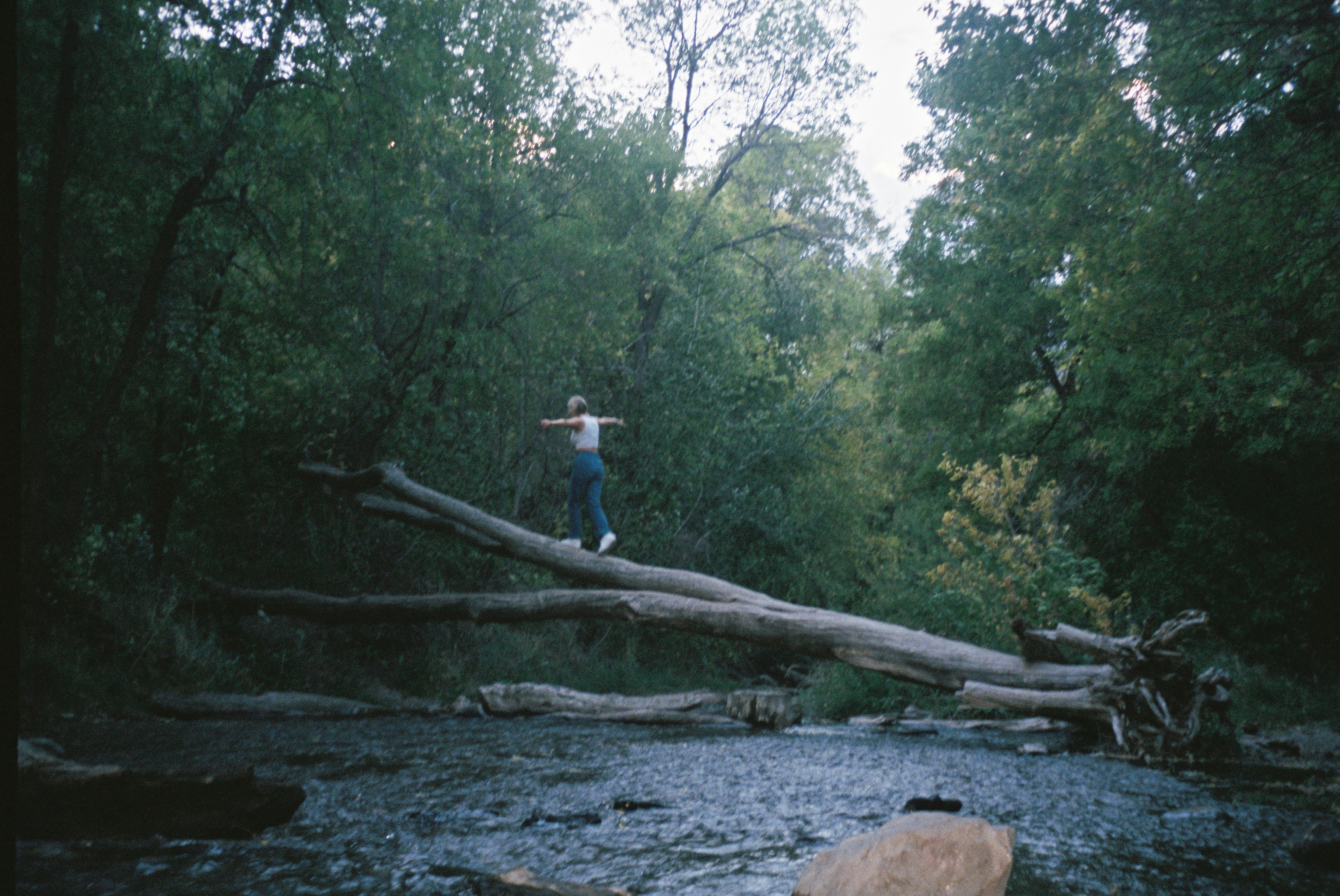 A man standing on a fallen tree over a river photo – Free Grey Image on ...
