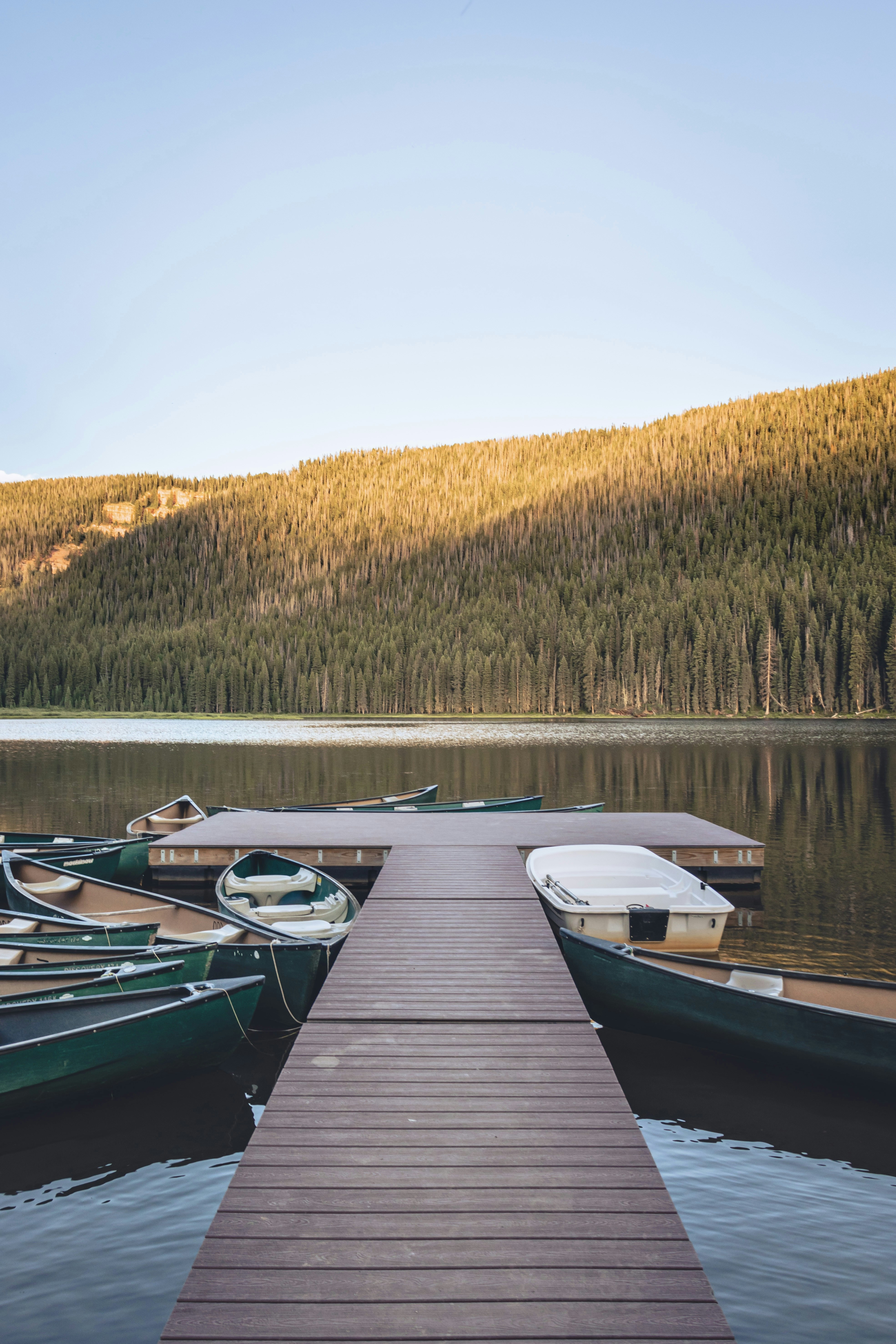 A dock on a lake next to a forest photo – Free Forest Image on Unsplash