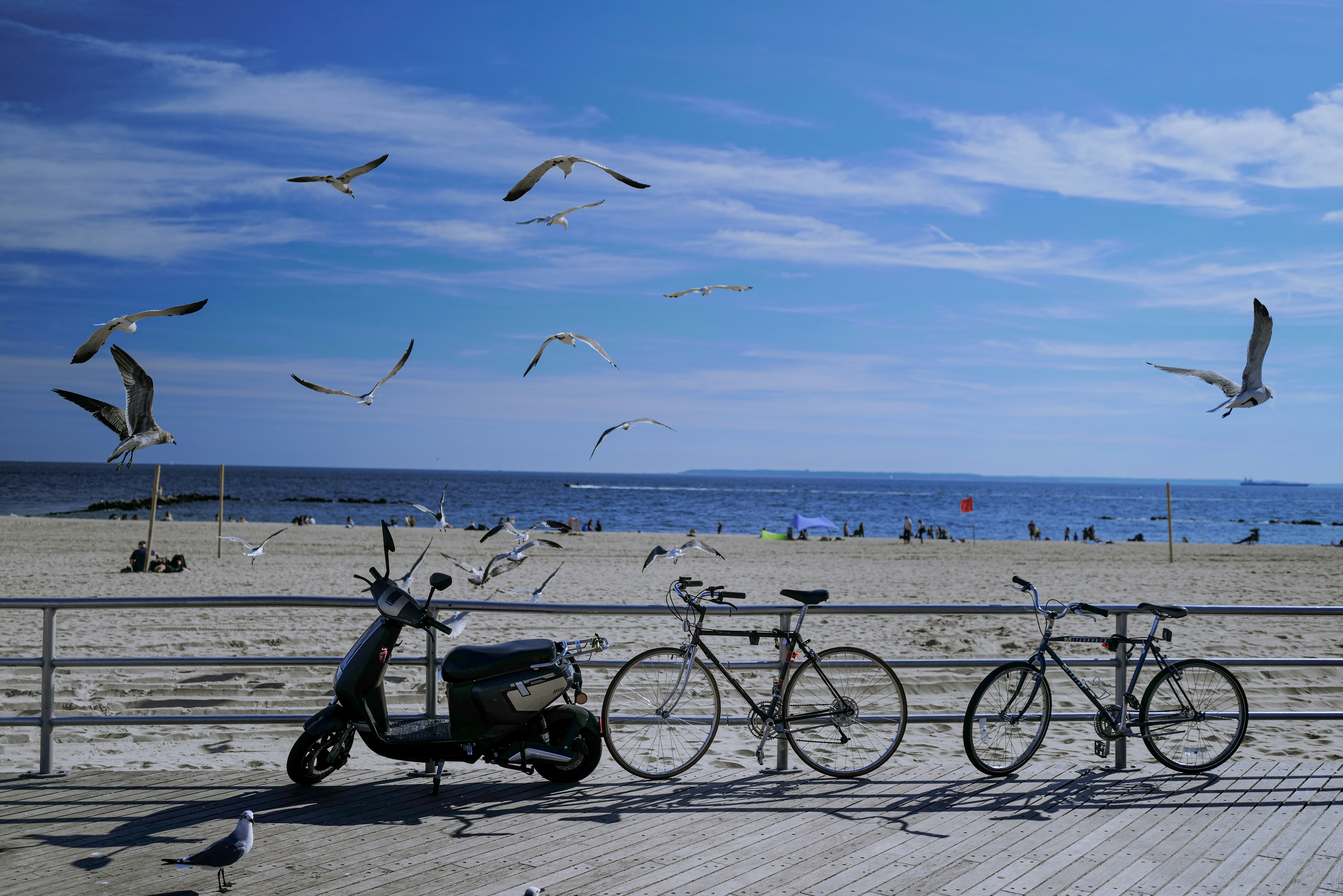 Gulls Over the Seafront: Bikes, Scooter, and Quiet Horizon