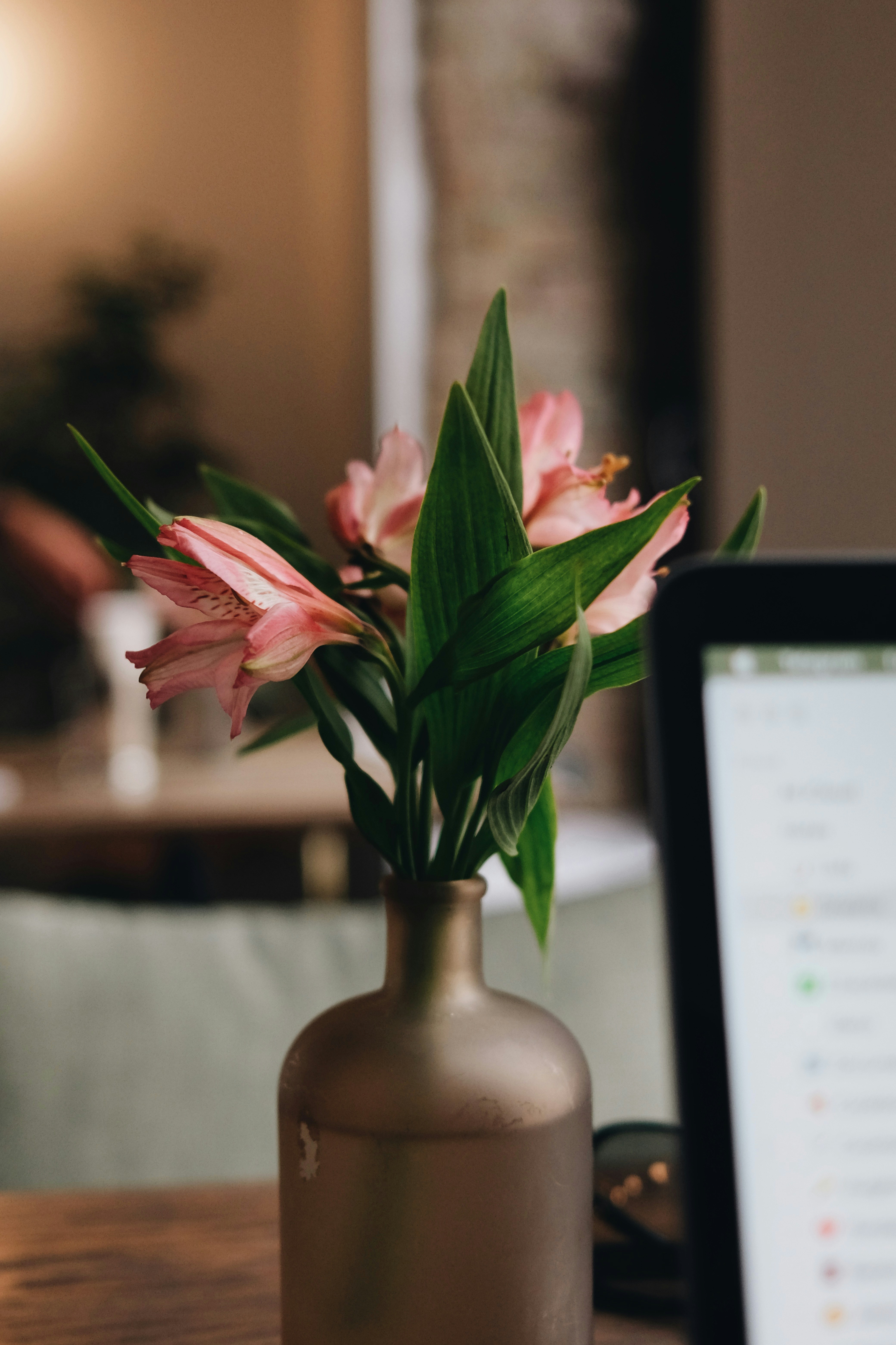 Soft Focus in a Quiet Café: Pink Lilies Cradled in a Copper Vase