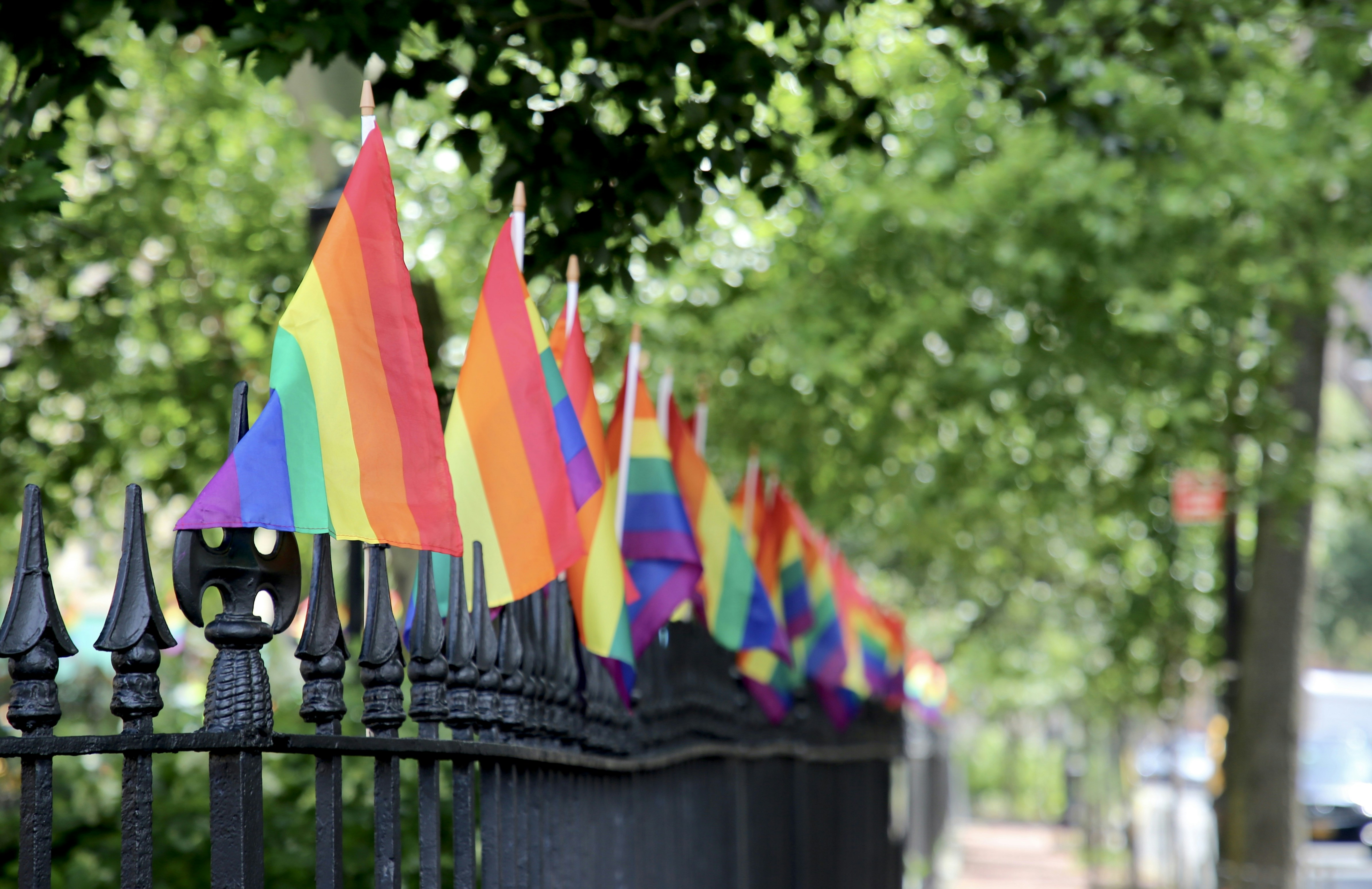 Rainbow Row Along the Iron Fence: Pride Flags Line a Tree-Shade Street