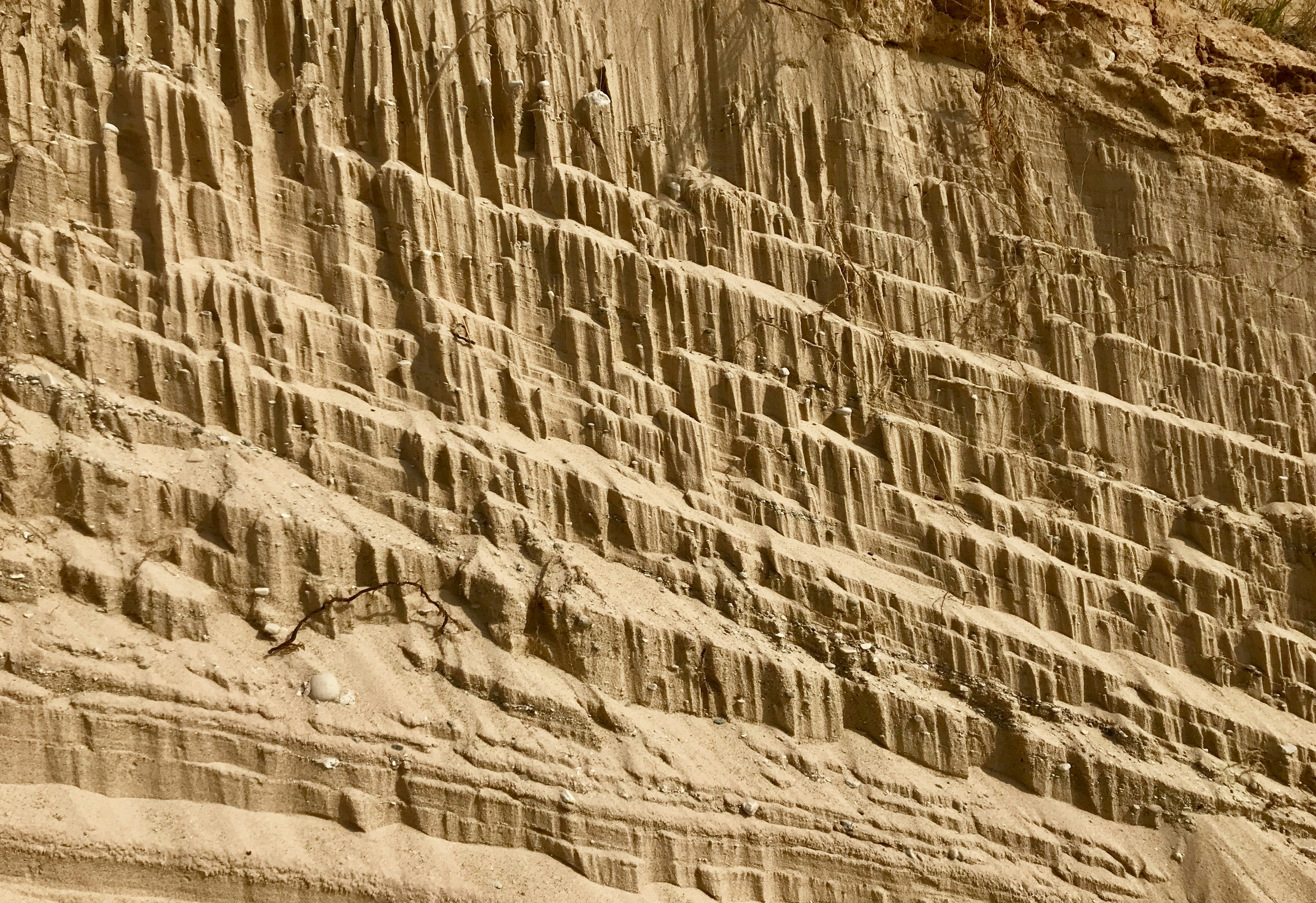 Un homme sur une planche de surf au sommet d’une plage de sable photo ...