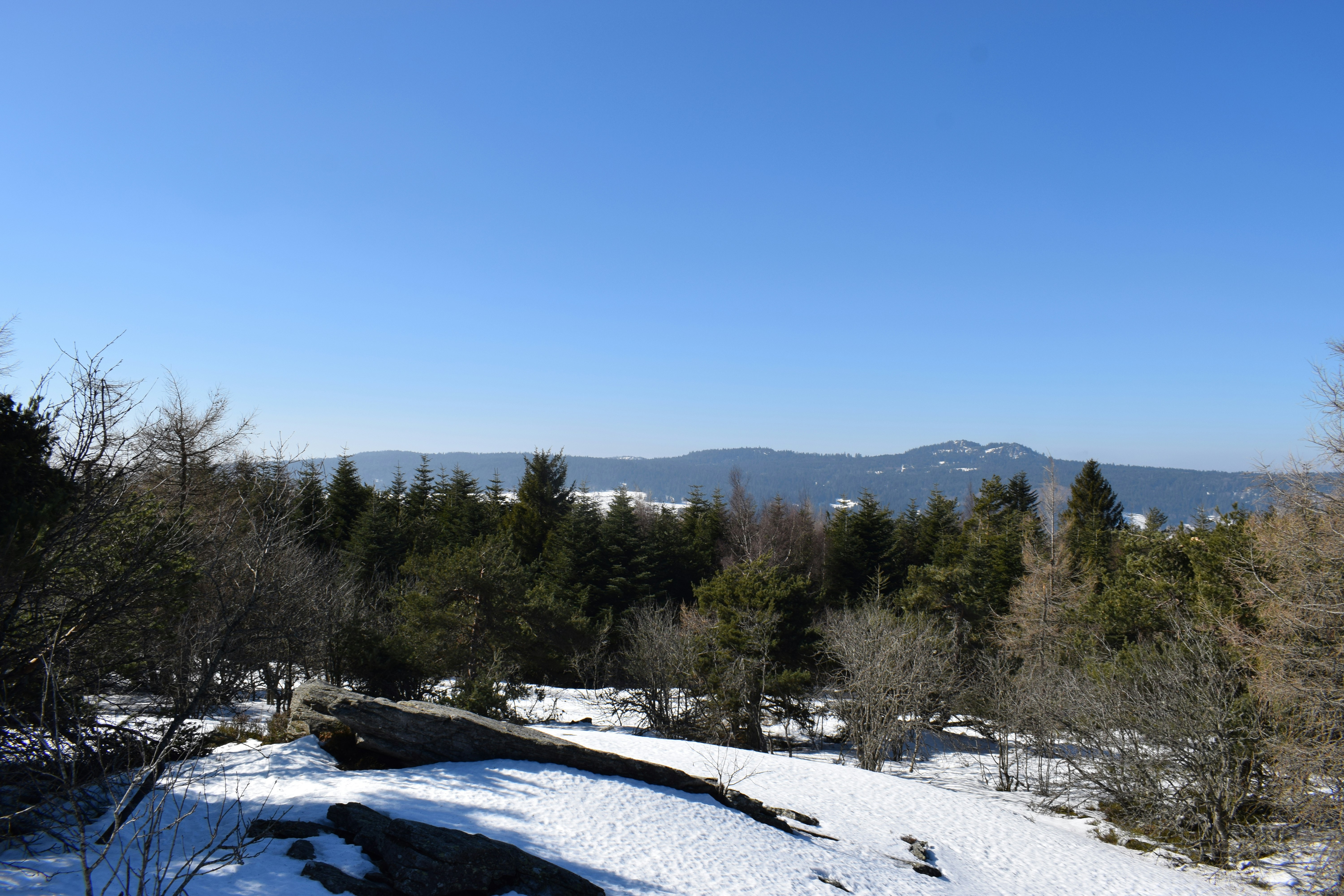 Snow-covered ground and sparse trees under a clear blue sky, revealing distant mountains. The scene captures the tranquil beauty of a winter day.