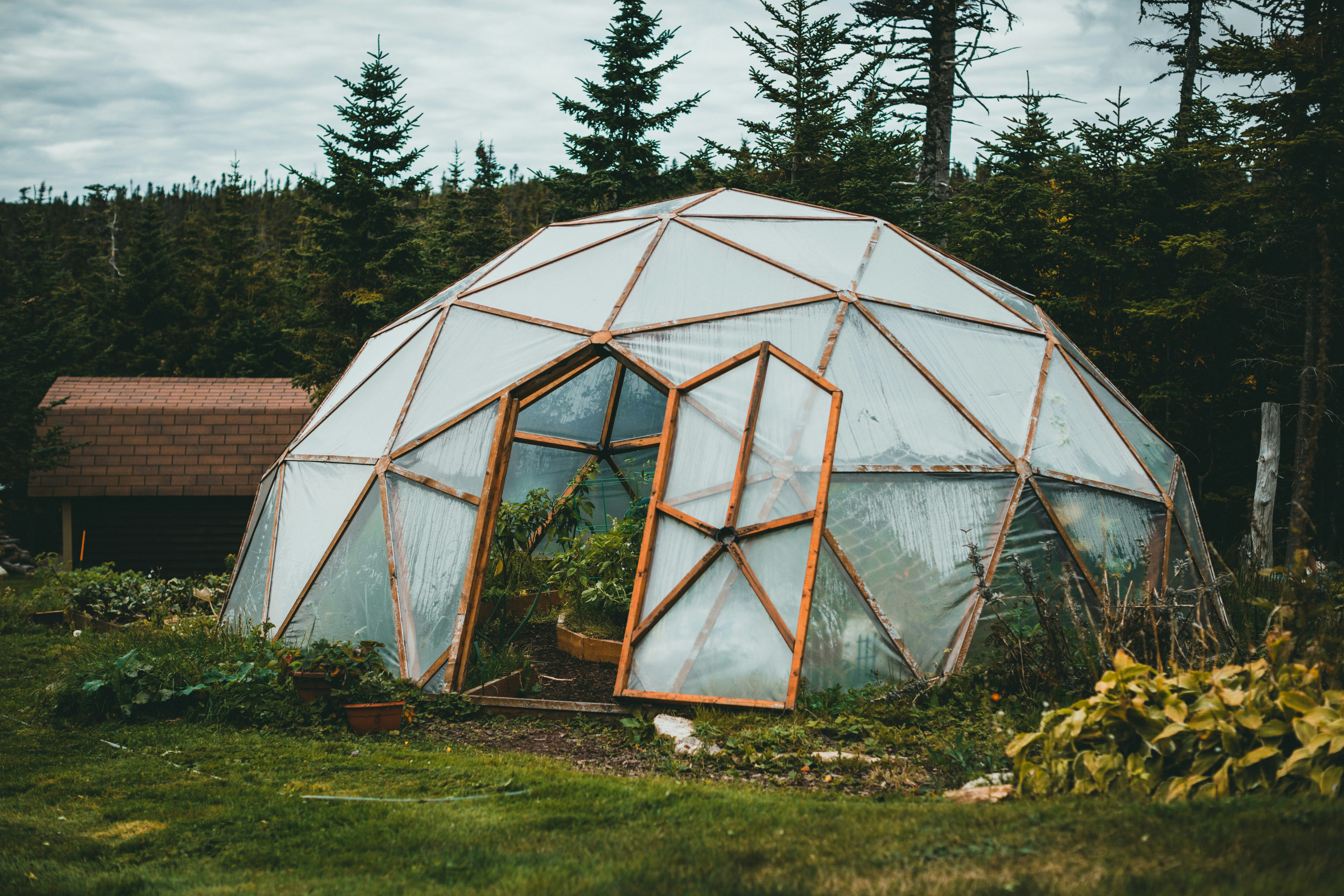 Geodesic greenhouse with wooden framing and glass panels, surrounded by lush greenery and trees in the background.