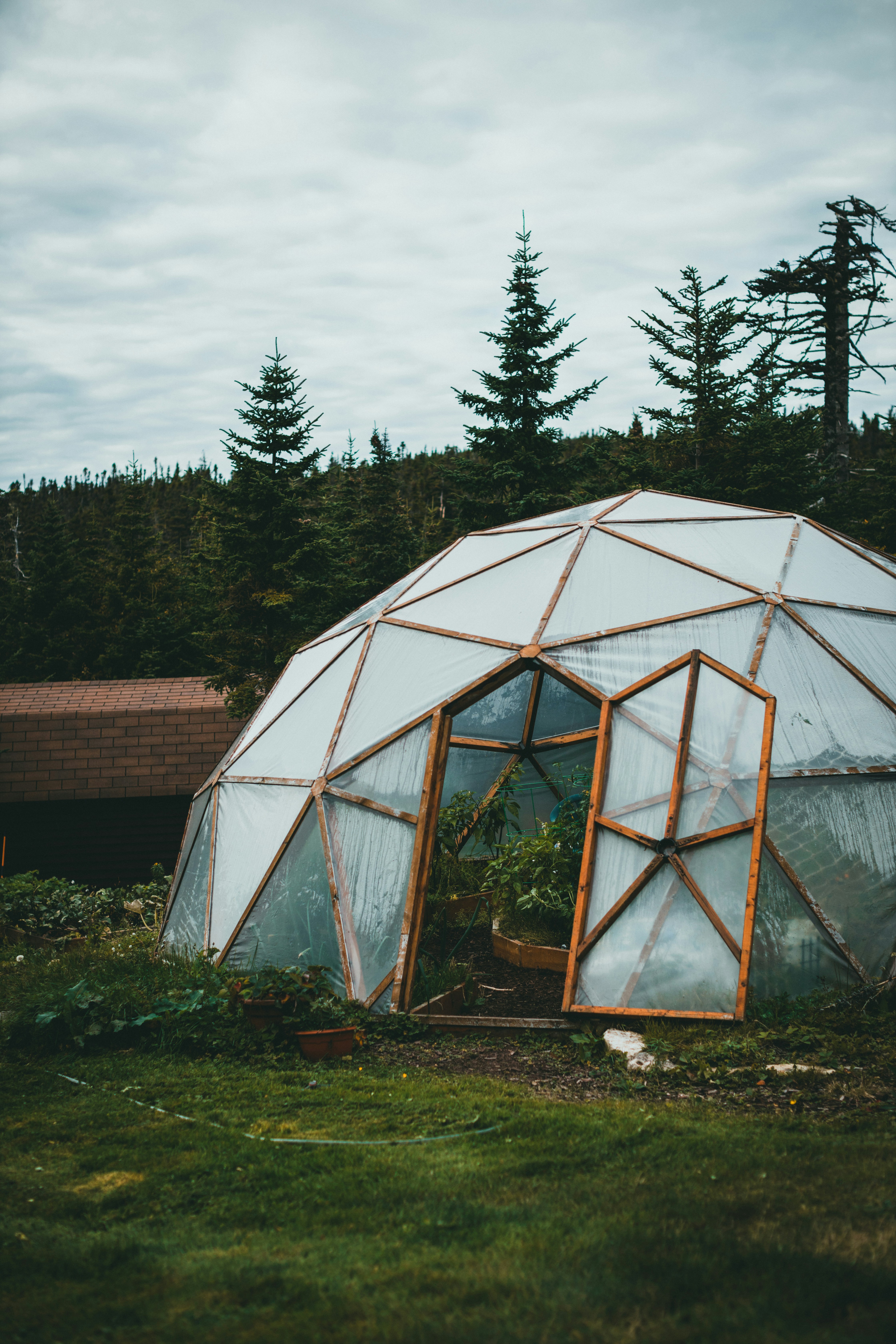 Geodesic Glass Dome in a Quiet Garden, Framed by Pines