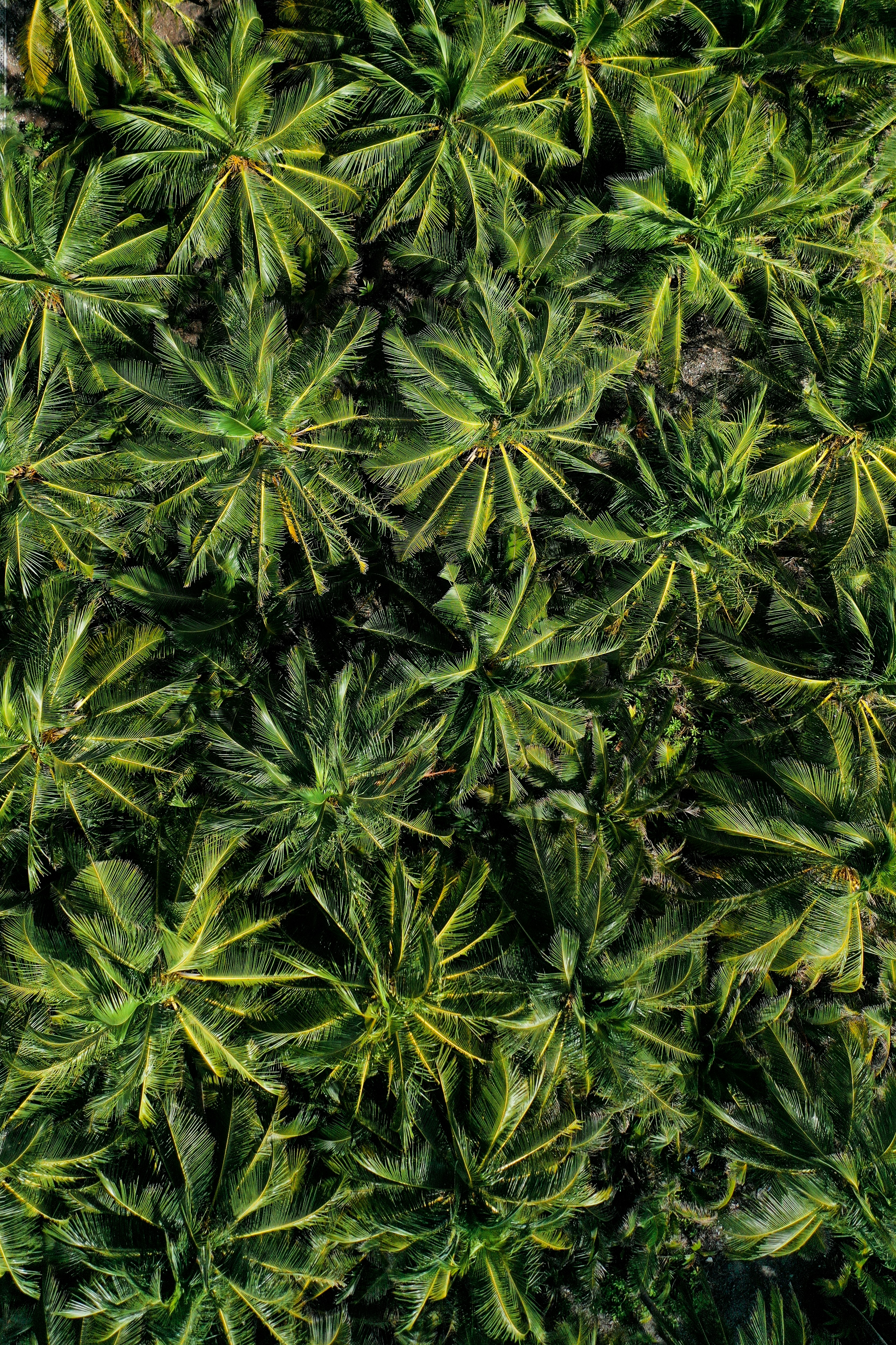 Earth from Above | 100+ best free above, earth, grey, and aerial view ...