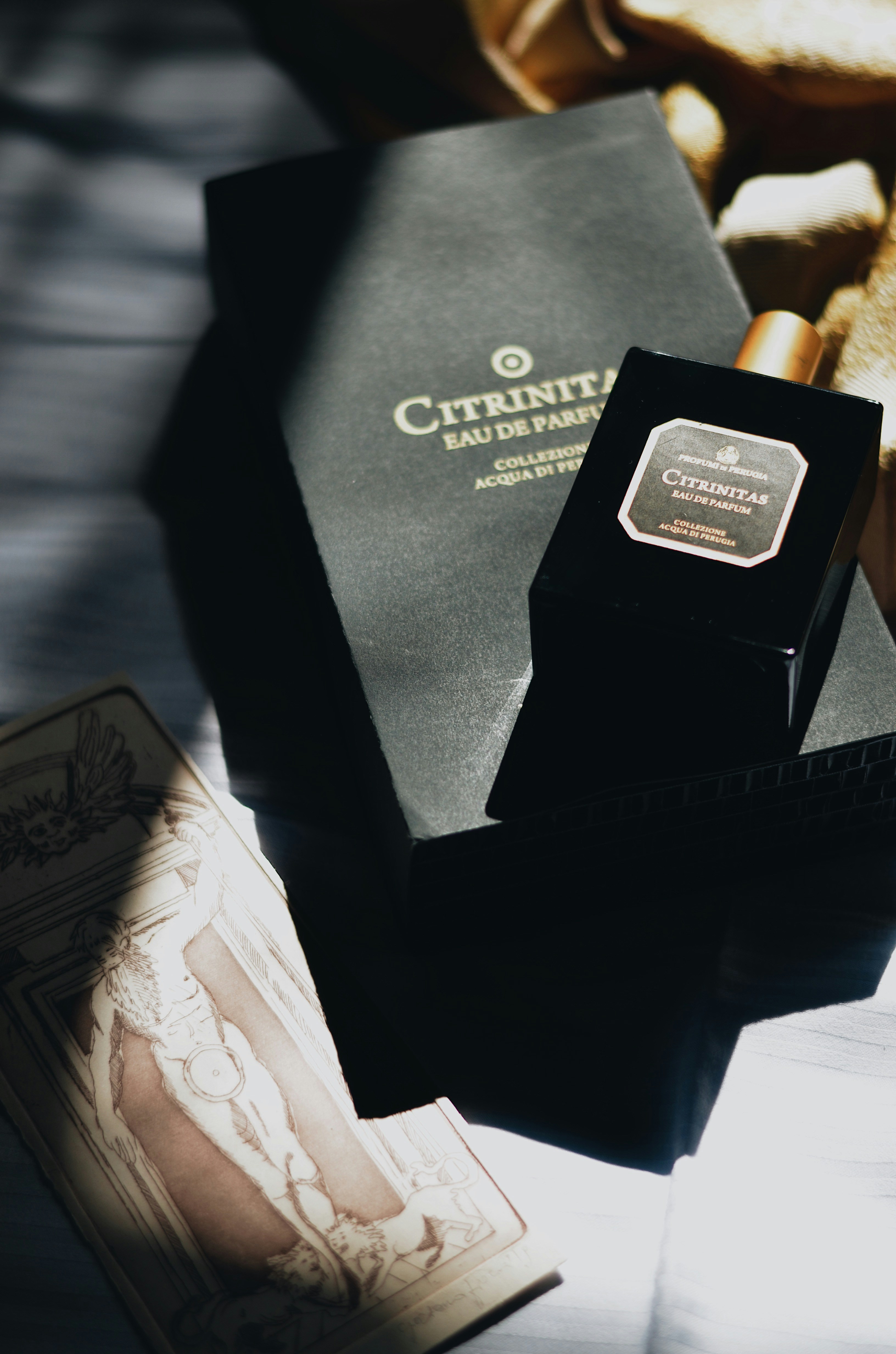 Shadowed Elegance: A Perfume Bottle Nestled on a Matte Black Box beside Sketch Cards