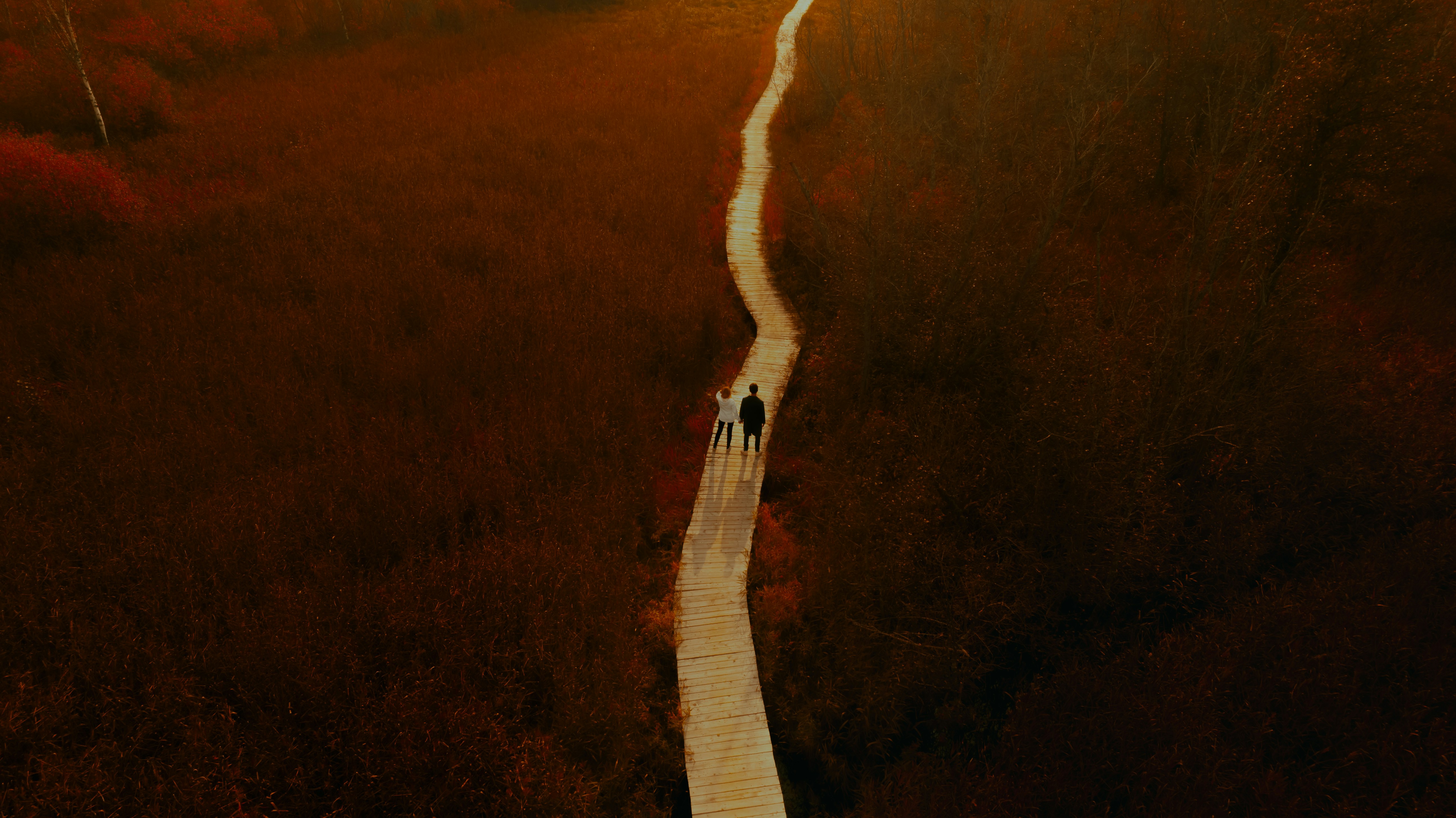 Two people walking down a path in the middle of a field photo – Free ...