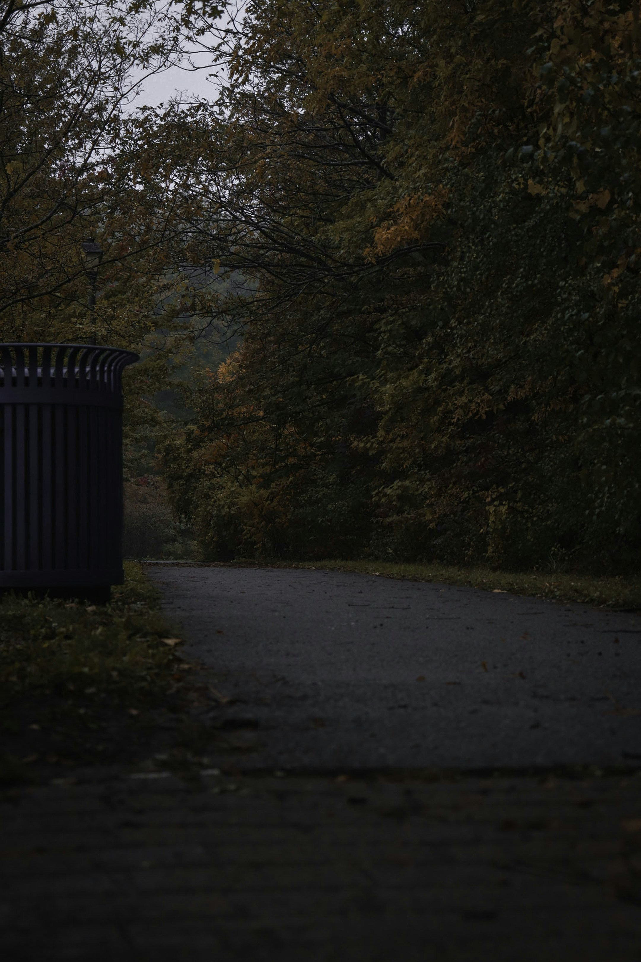 A trash can sitting on the side of a road photo – Free Road Image on ...