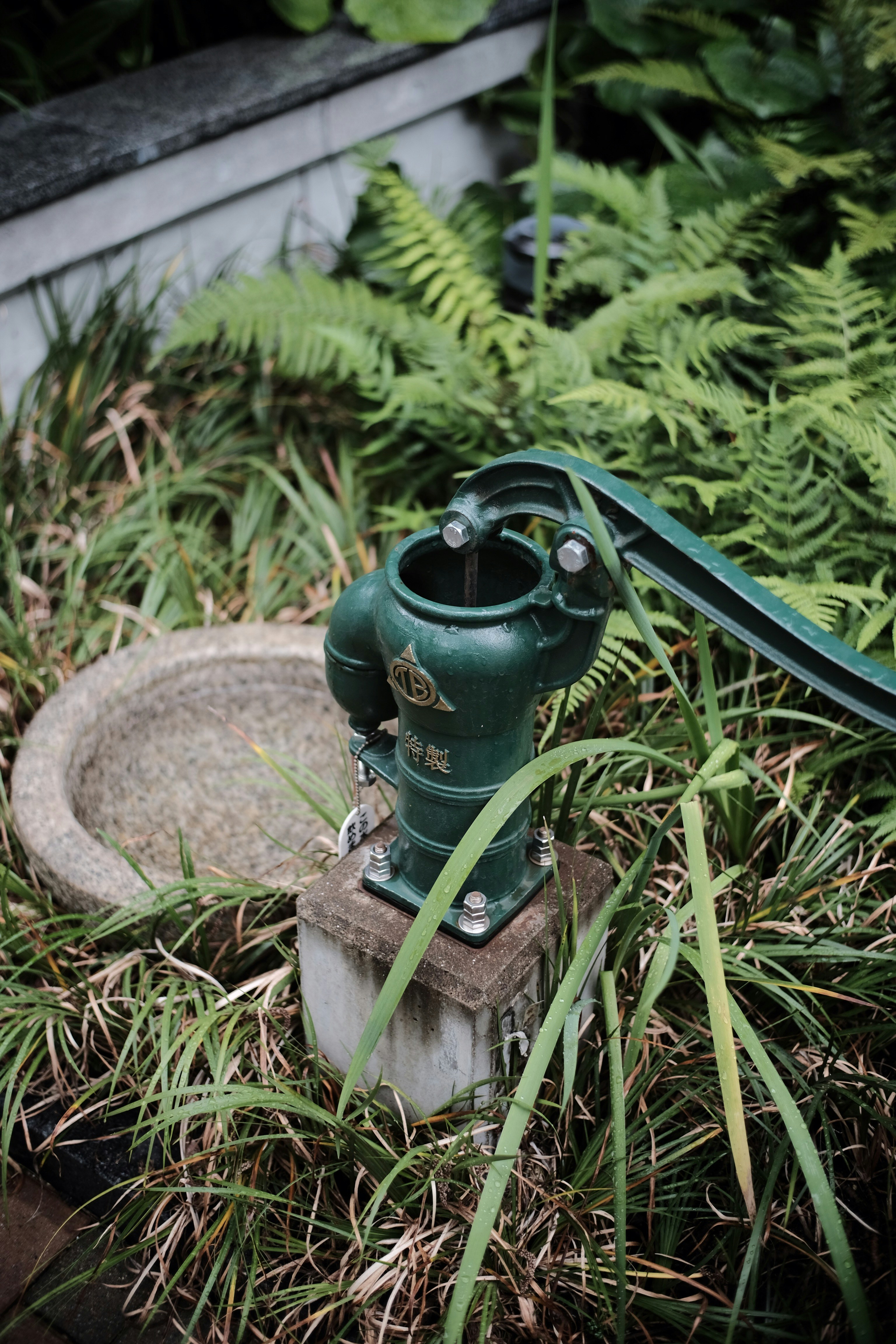 Emerald Hydrant Among Ferns: A Quiet Garden Sentinel